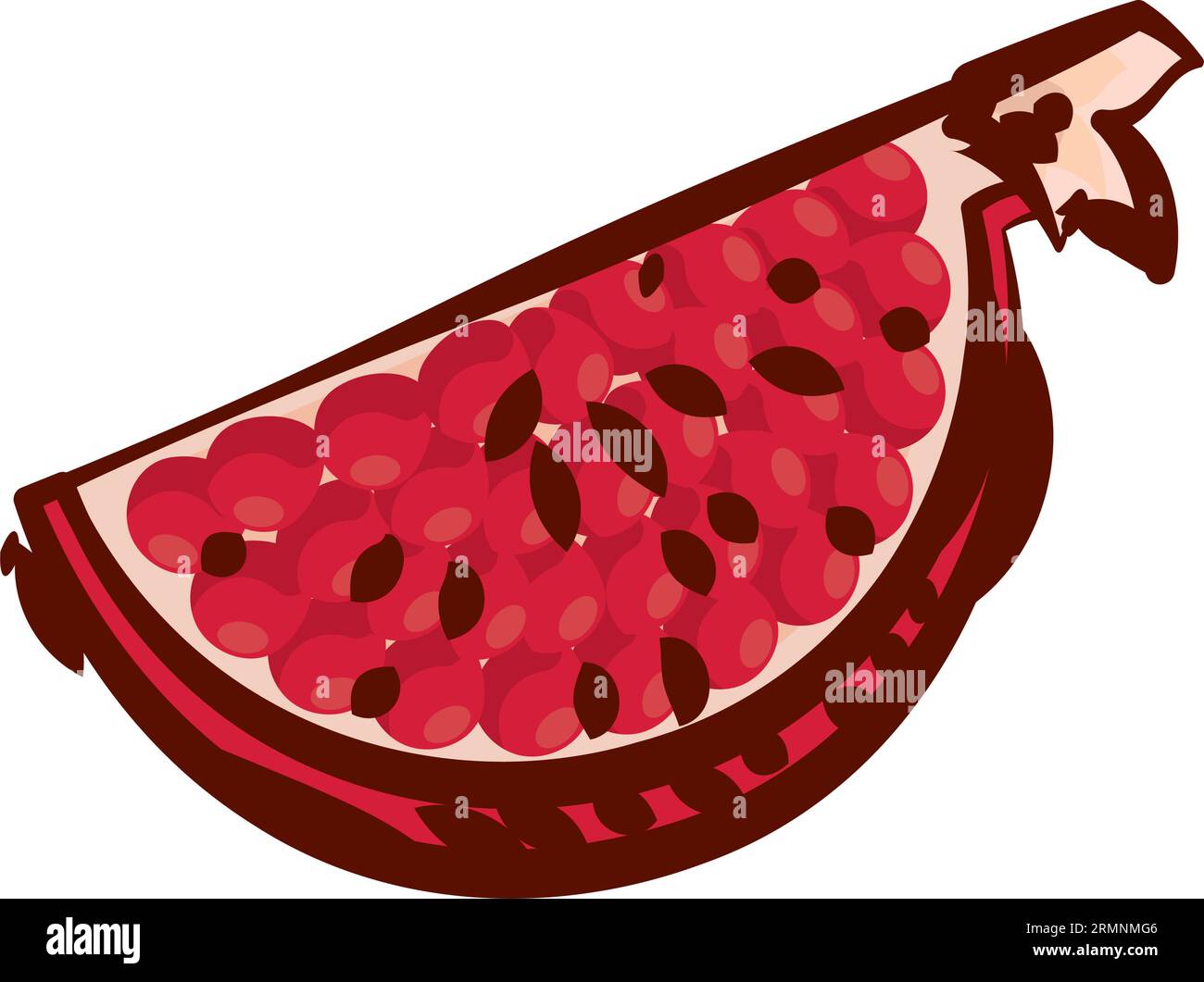 Isolated hand drawn slice of a pomegranate Vector Stock Vector Image ...