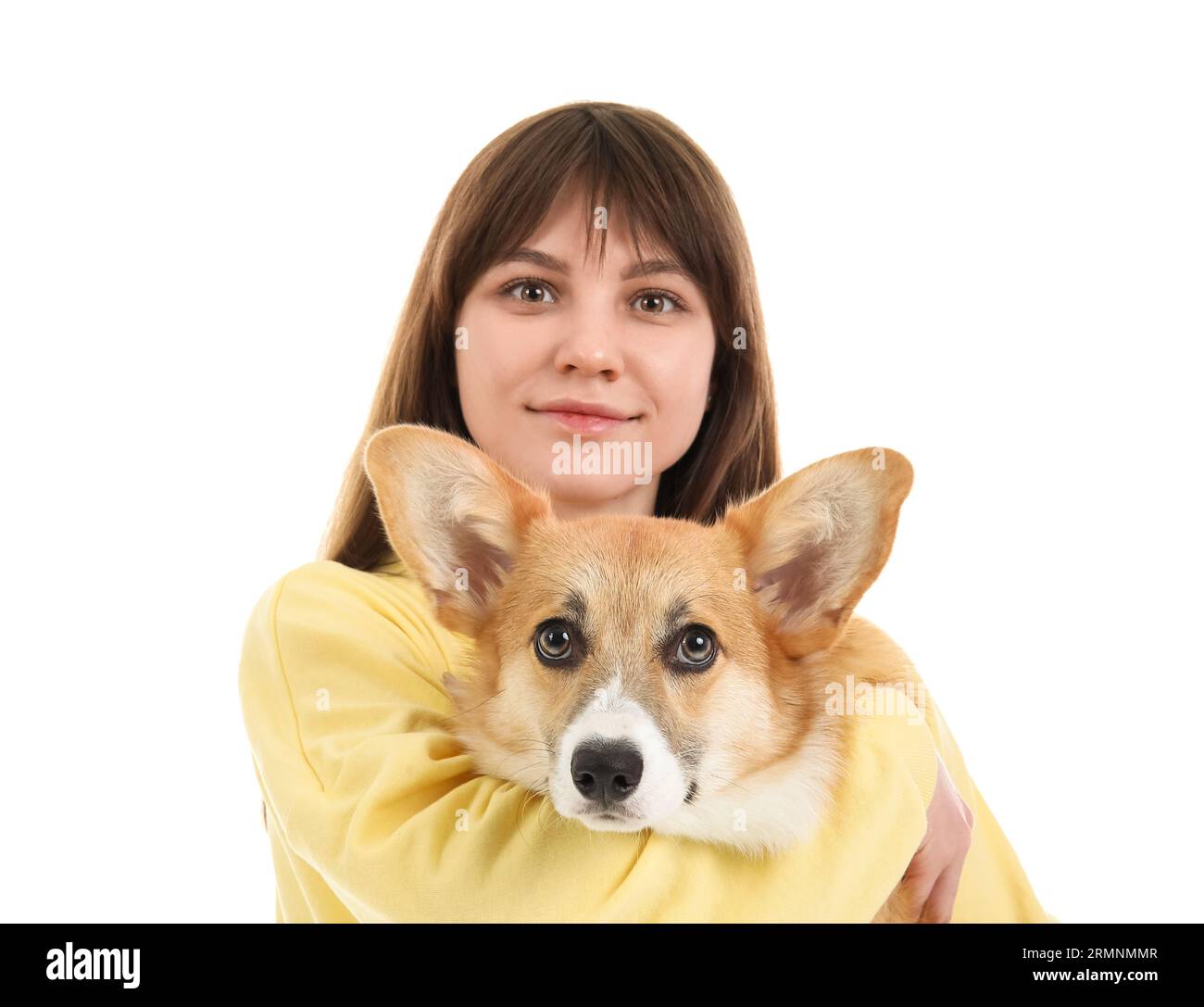 Pretty young woman with cute Corgi dog on white background Stock Photo ...