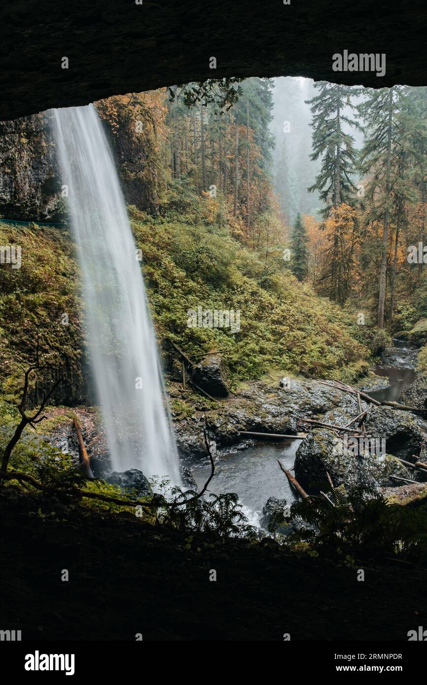 Silver Falls State Park Stock Photo - Alamy