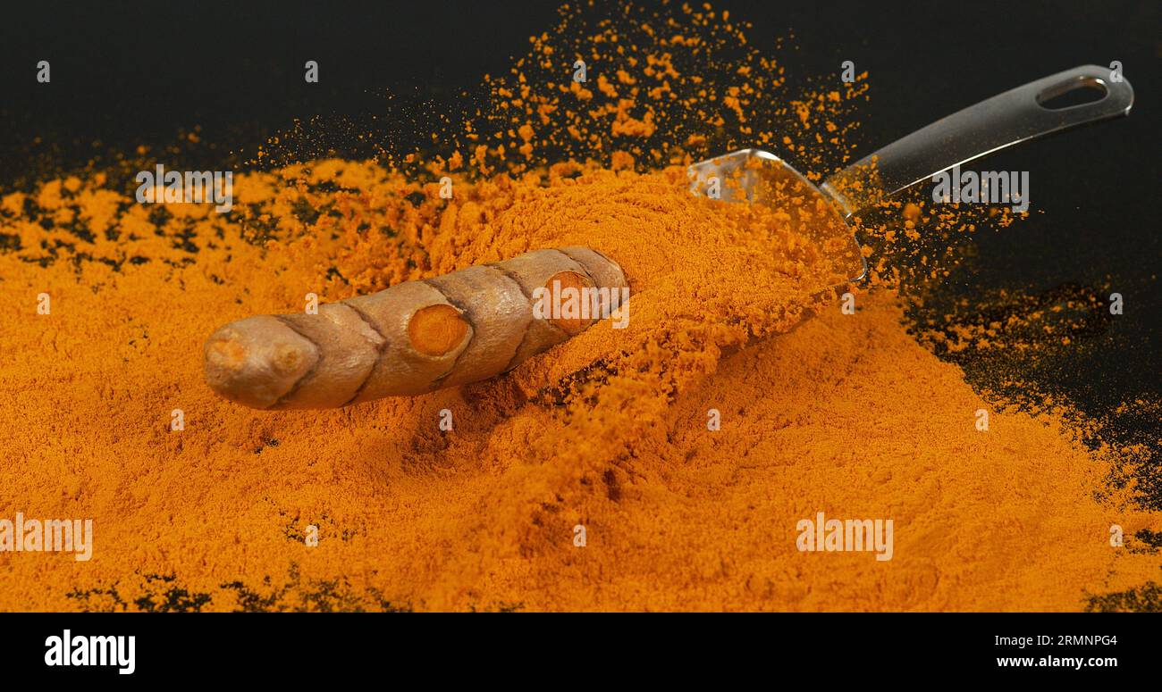 Turmeric, curcuma longa, Root falling on curcuma Powder, Indian Spice ...