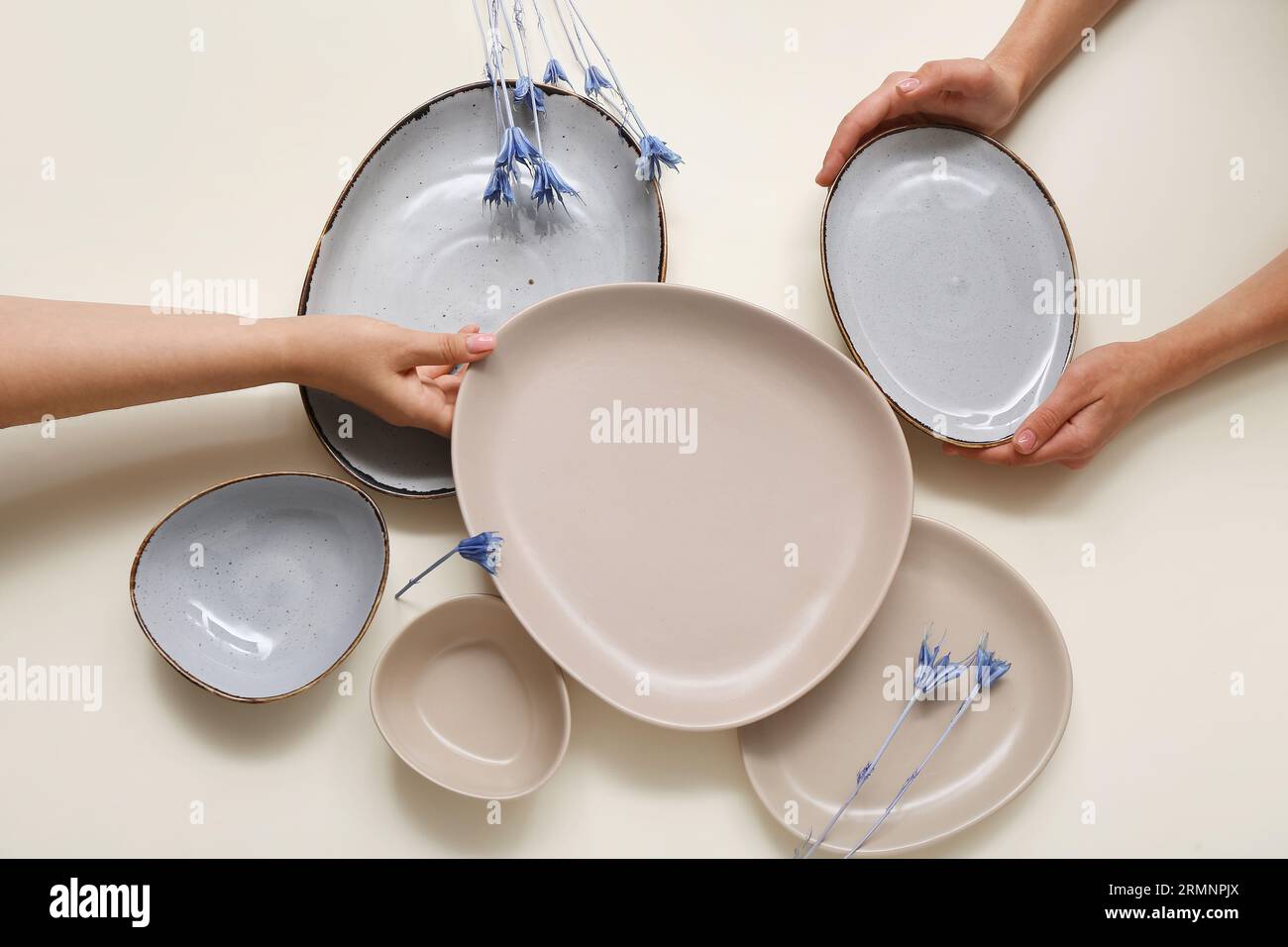 Female hands with beautiful table setting on white background Stock ...