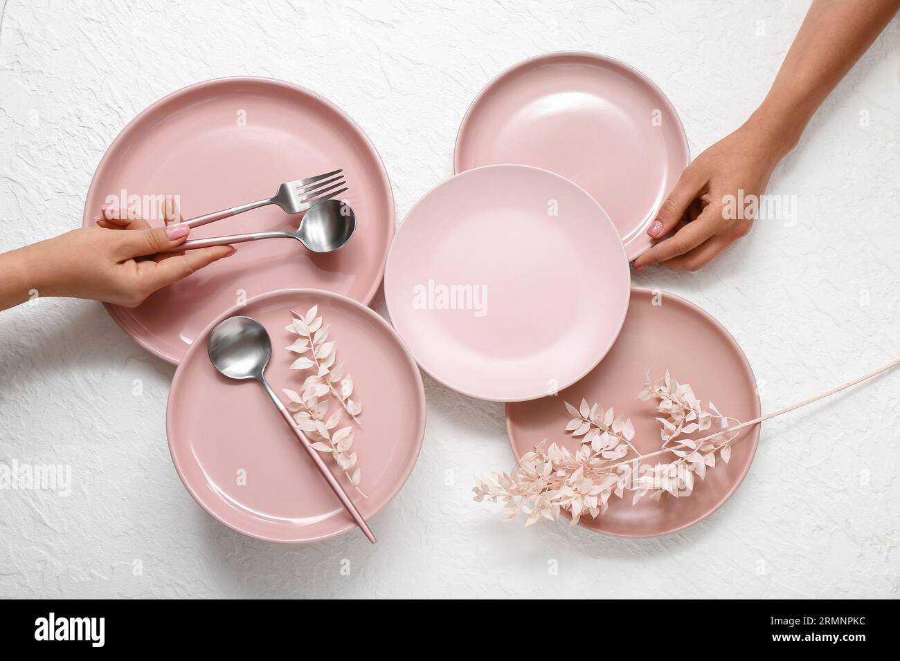 Female hands with beautiful table setting on white background Stock ...