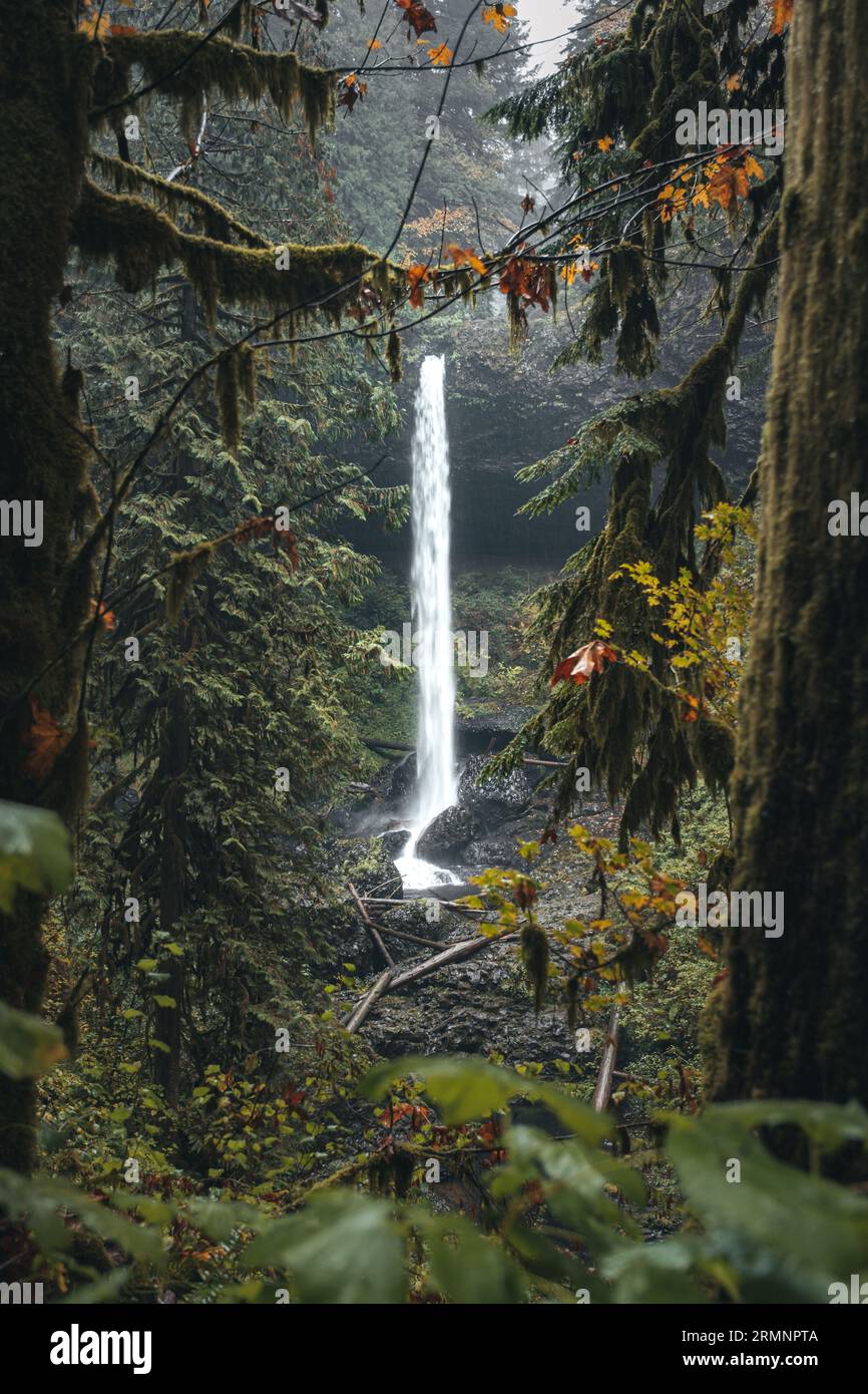 Silver Falls State Park Stock Photo - Alamy