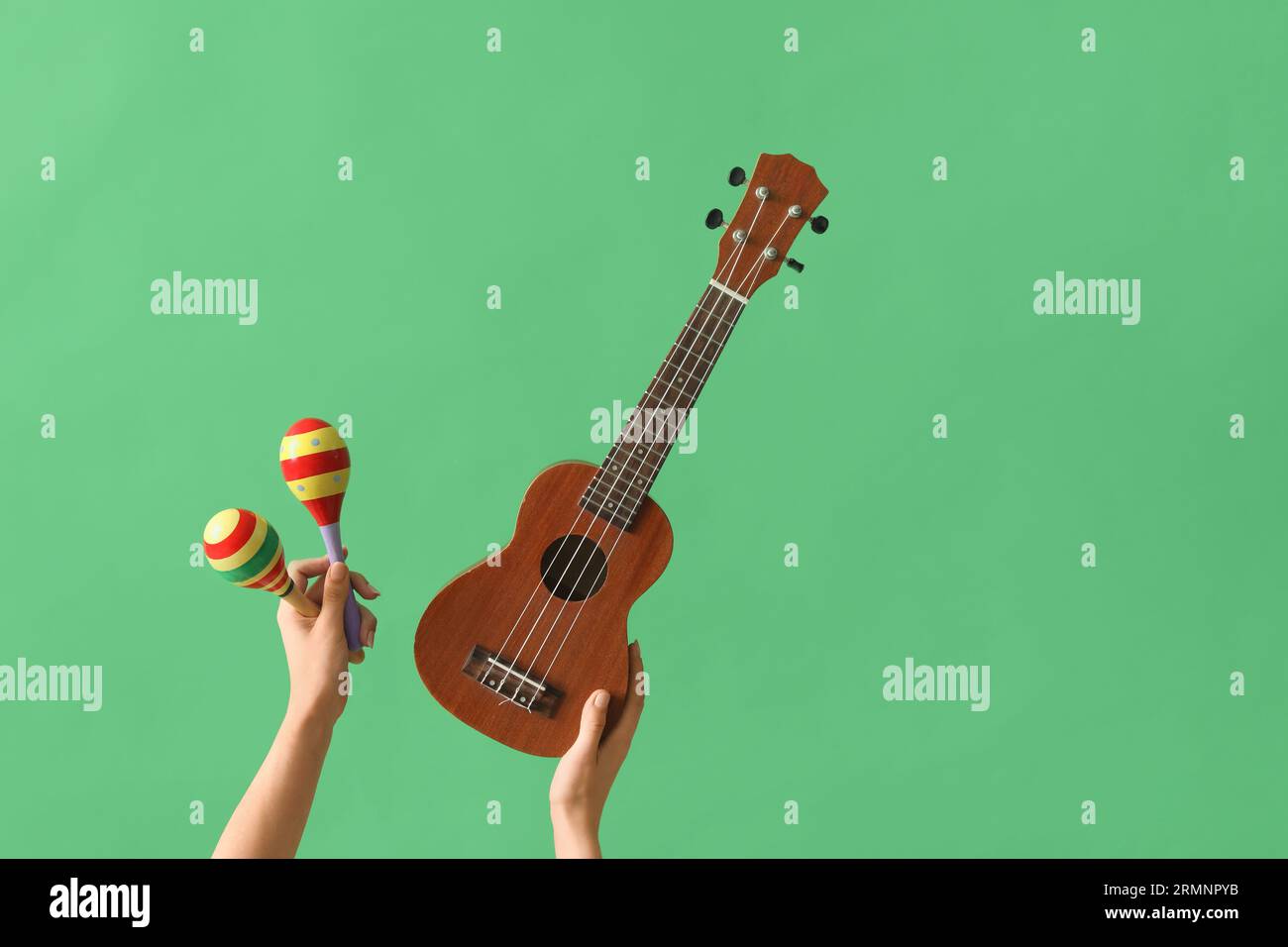 Female hands holding maracas and ukulele on green background Stock ...