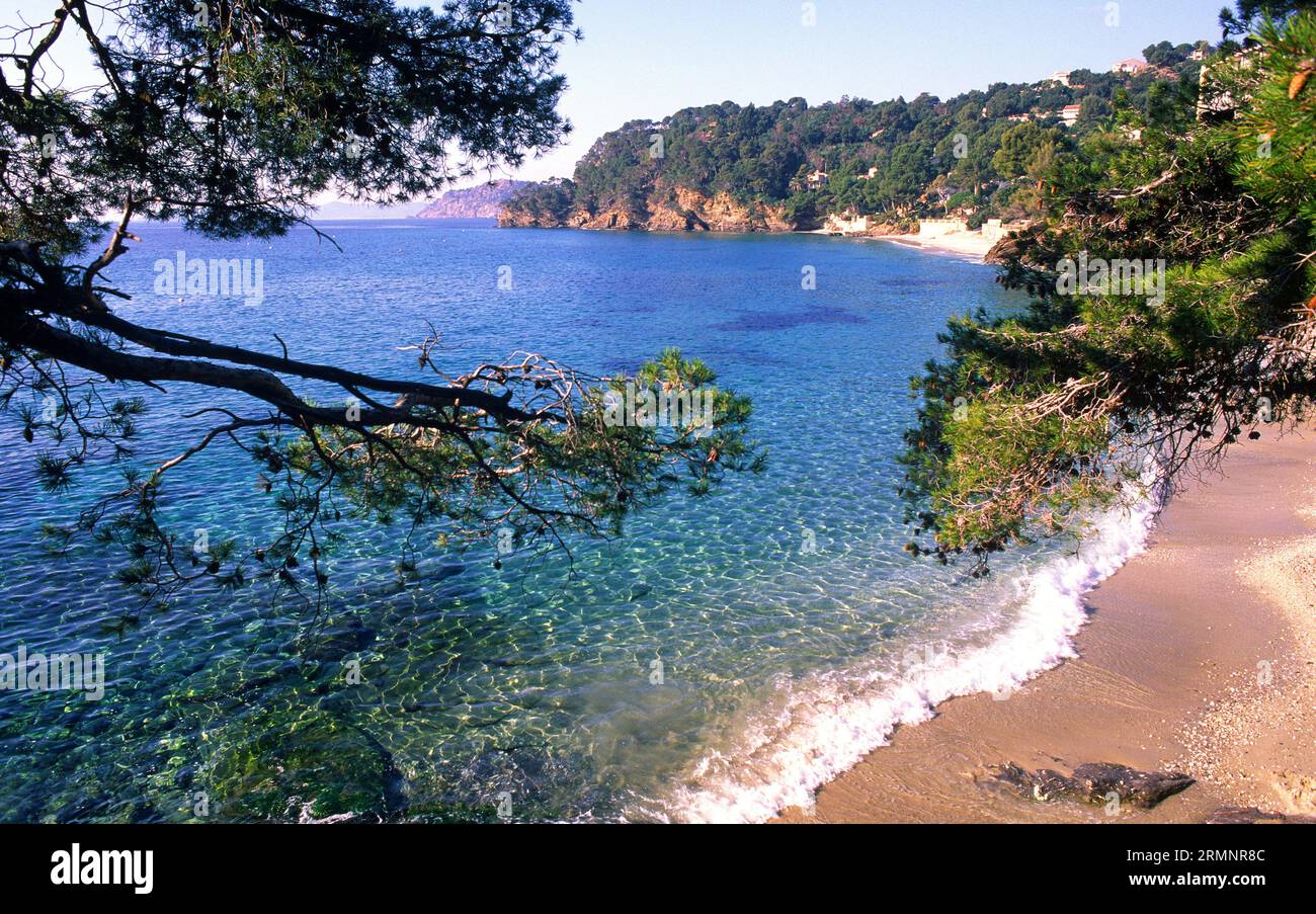 The Rayol beach Var Provence Stock Photo - Alamy