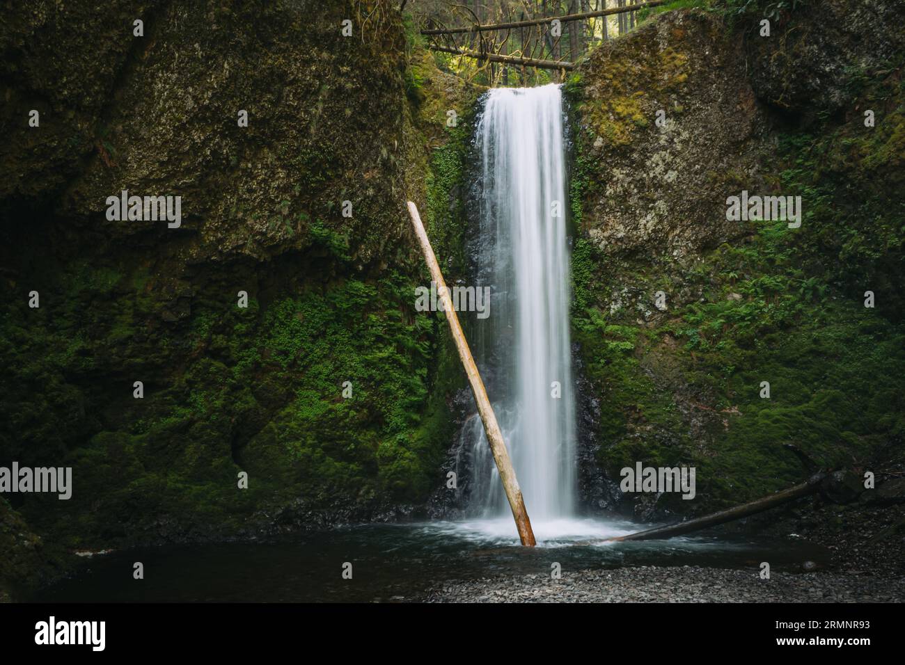 Ecola falls hi-res stock photography and images - Alamy