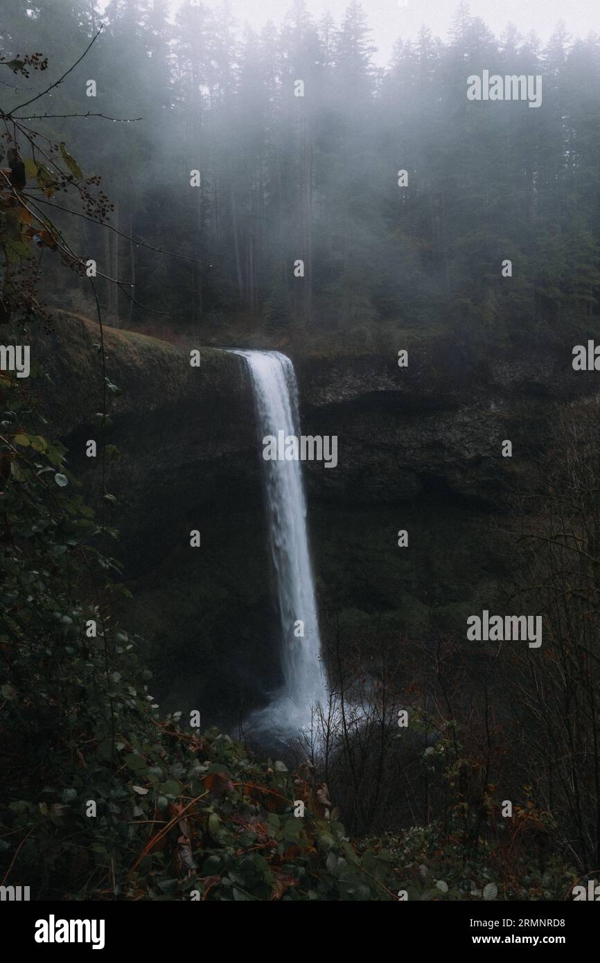 Silver Falls State Park Stock Photo - Alamy