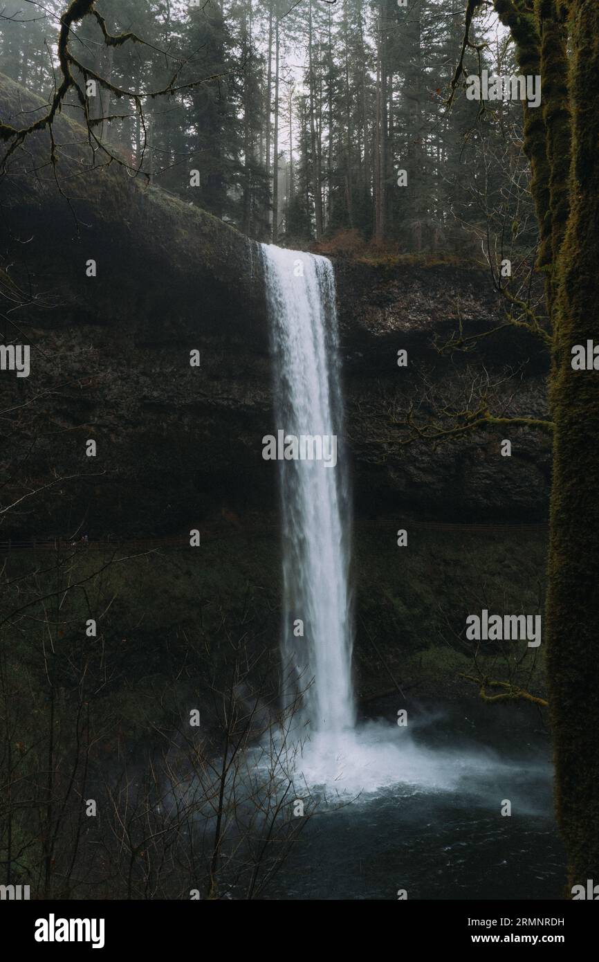 Silver Falls State Park Stock Photo - Alamy