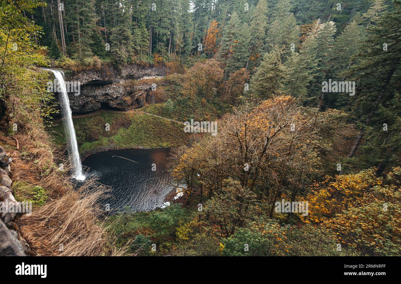 Silver Falls State Park Stock Photo - Alamy