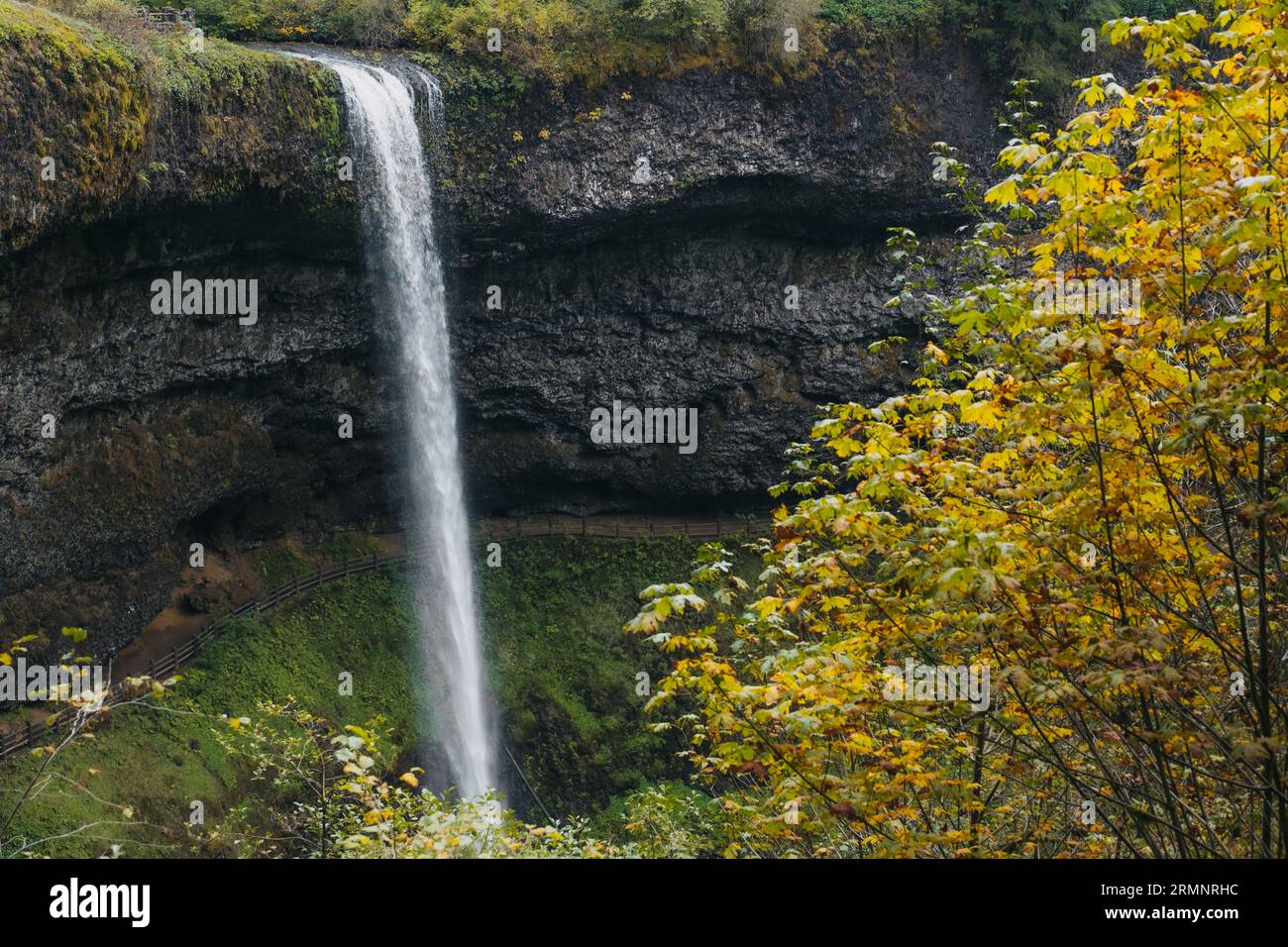 Silver Falls State Park Stock Photo - Alamy
