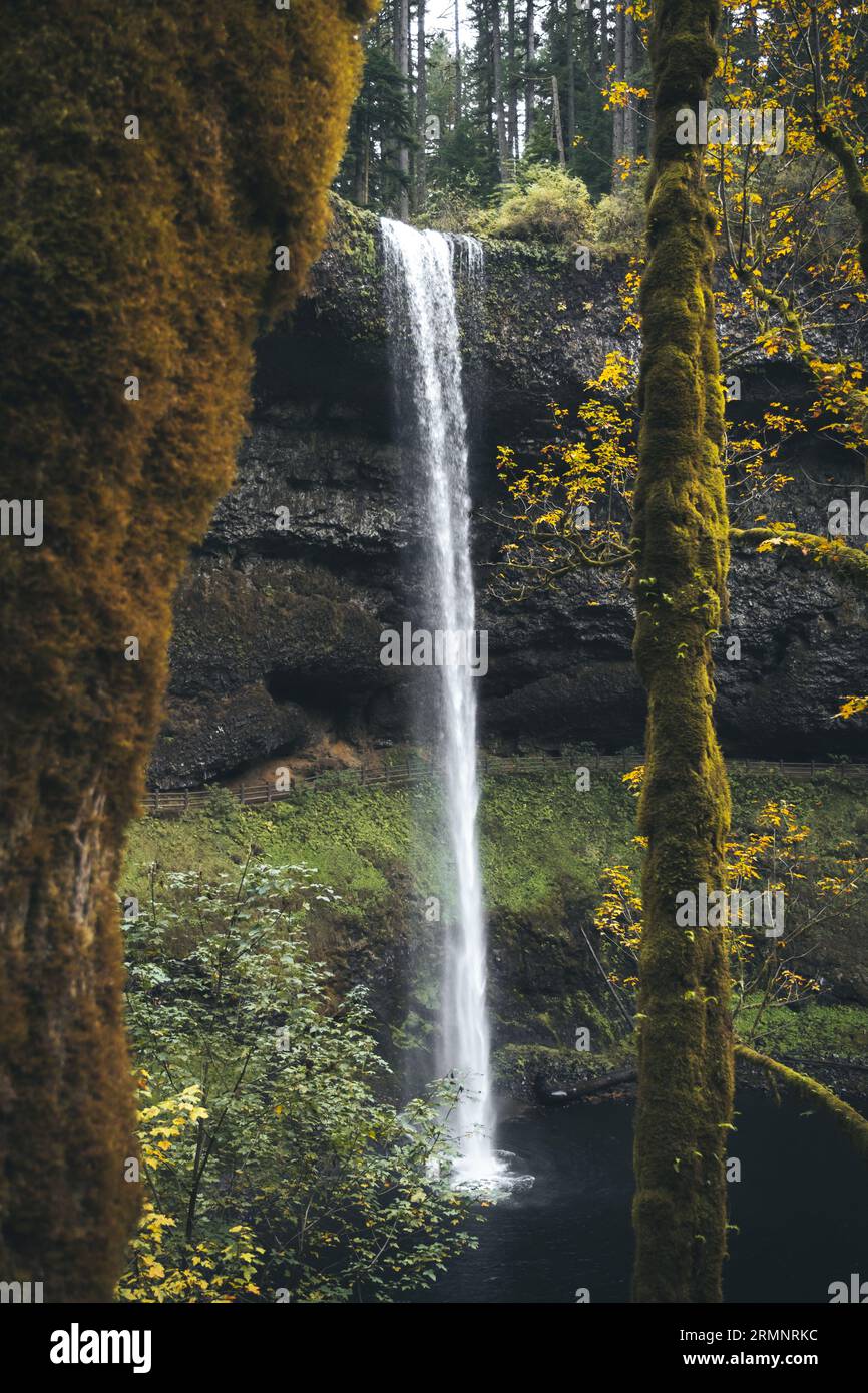 Silver Falls State Park Stock Photo - Alamy