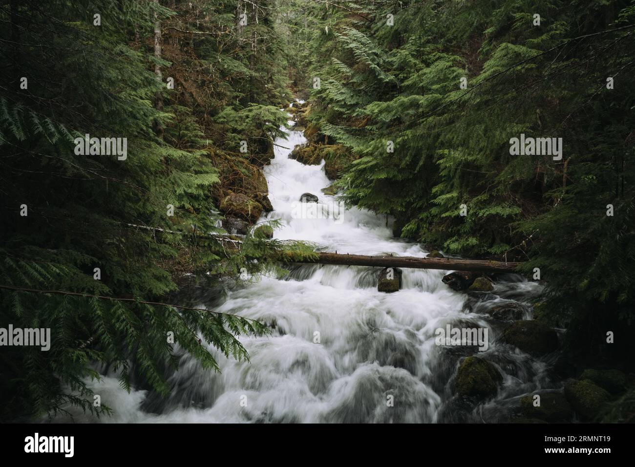 Mt watson hi-res stock photography and images - Alamy