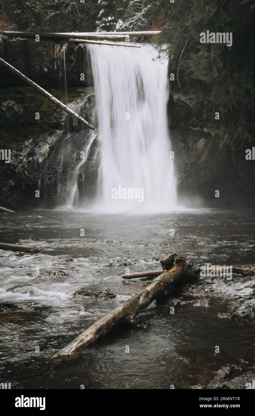 Silver Falls State Park Stock Photo - Alamy