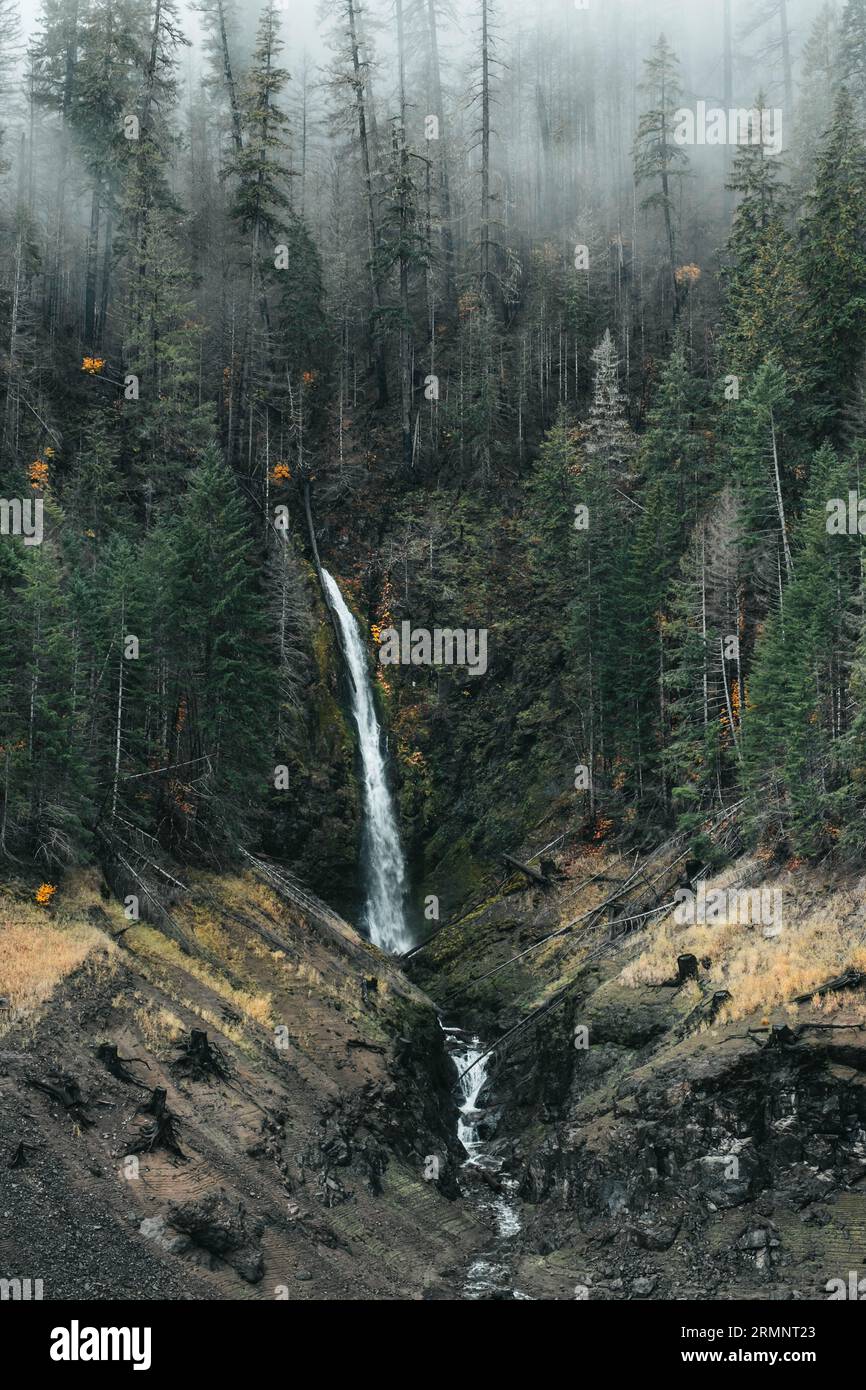 Waterfall in Fall time in PNW Stock Photo - Alamy