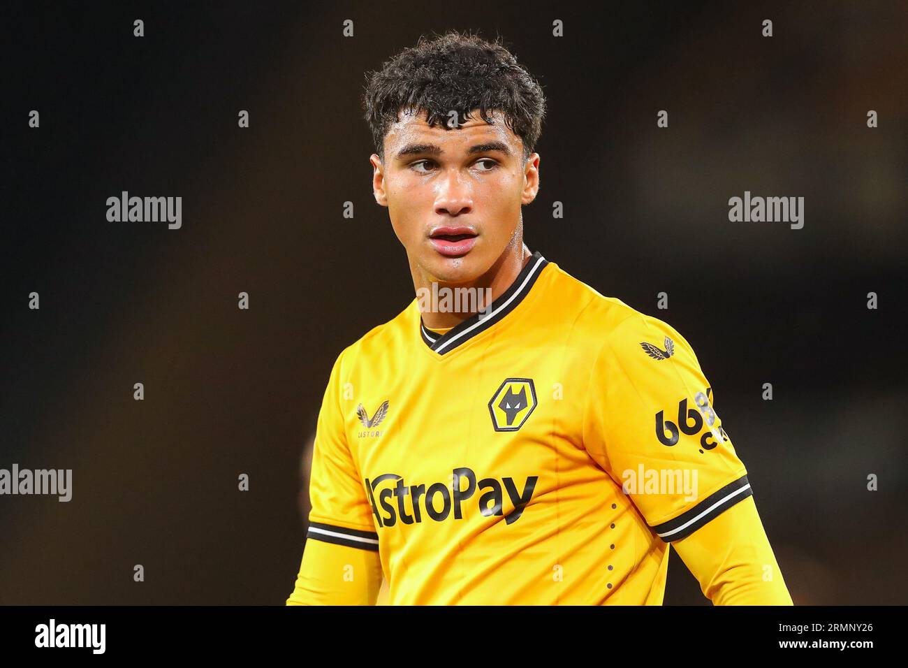 Nathan fraser hi-res stock photography and images - Alamy