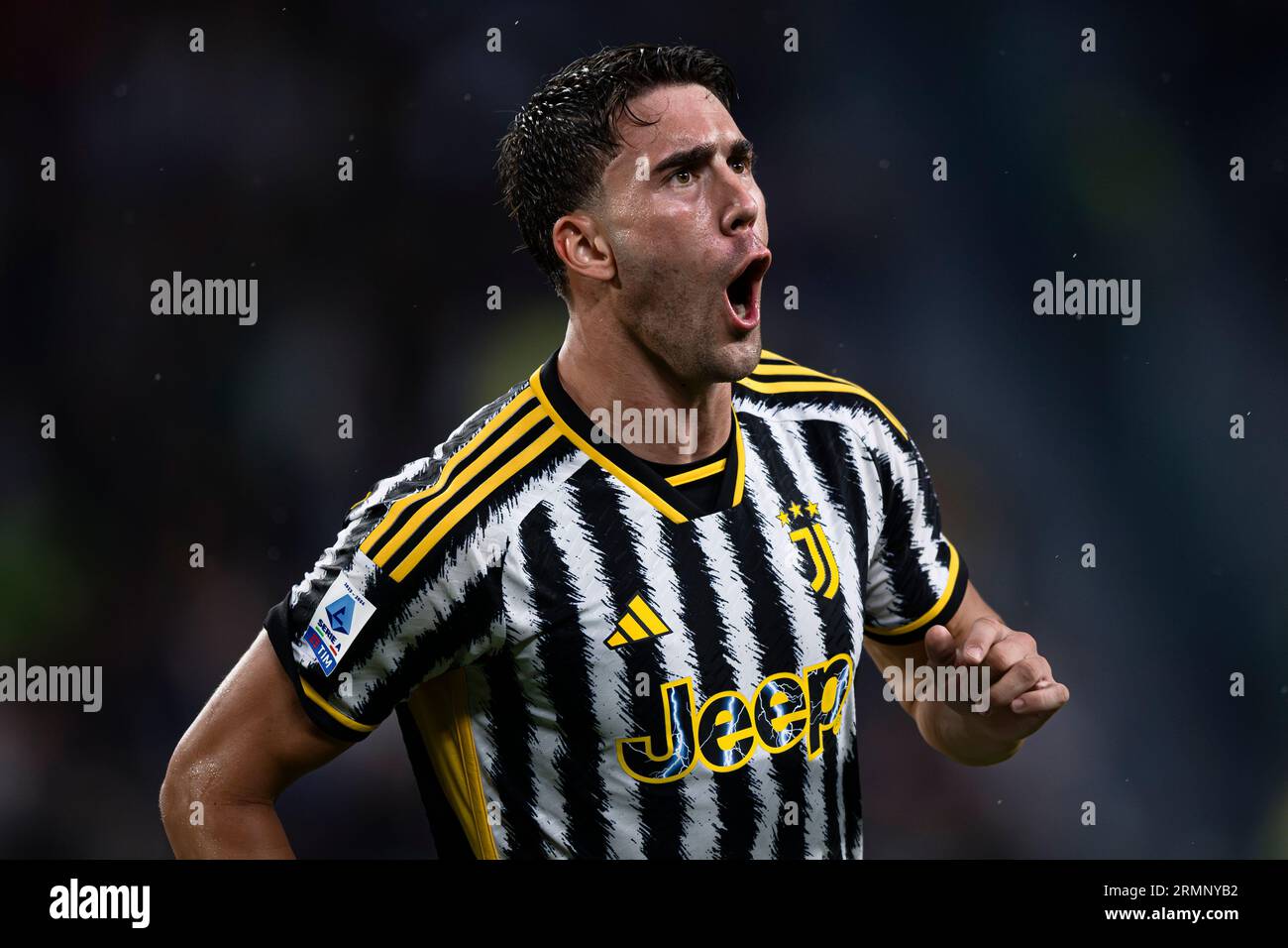 Dusan Vlahovic of Juventus FC celebrates after scoring a gola during ...