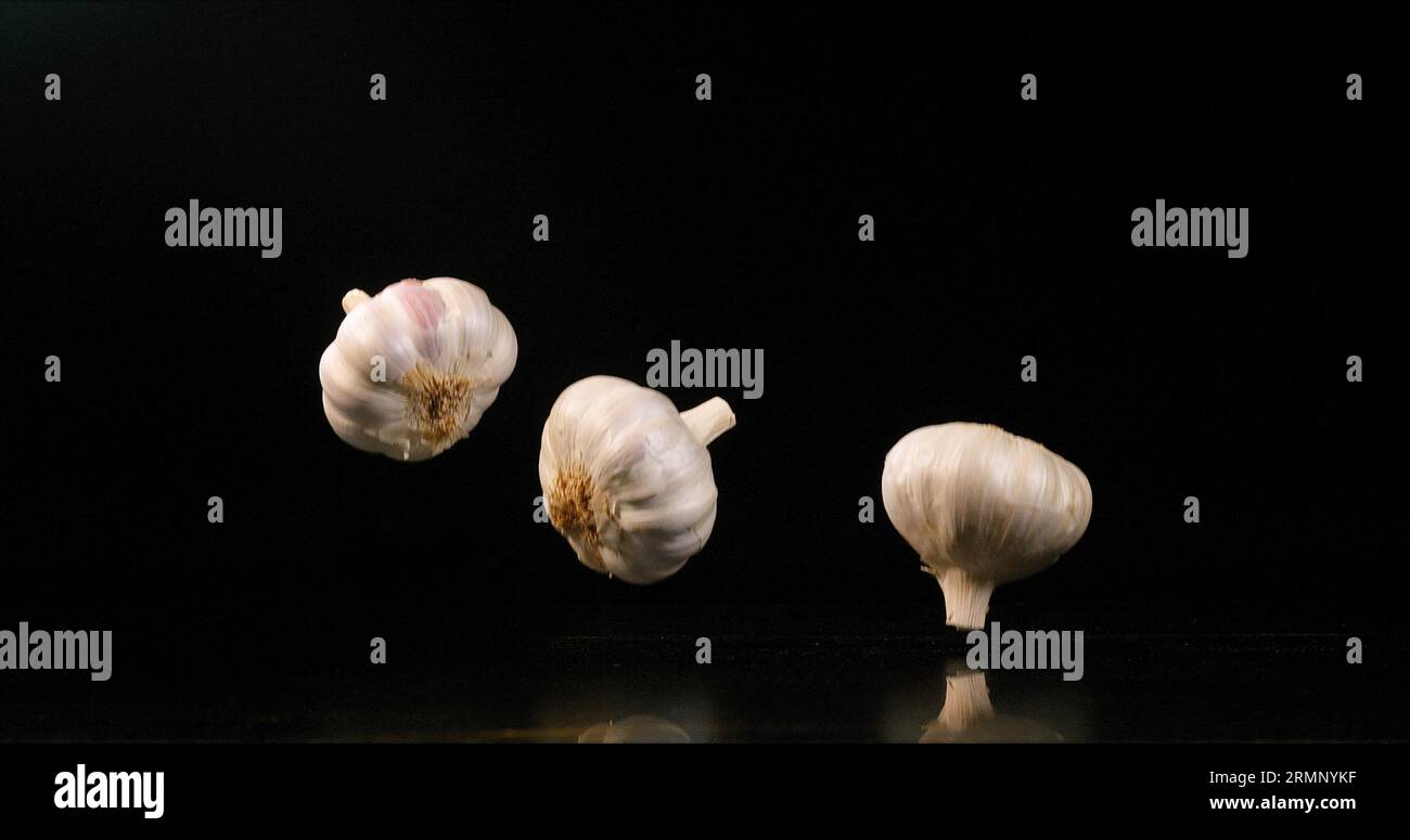 Garlic, allium savitum, falling against Black Background Stock Photo ...