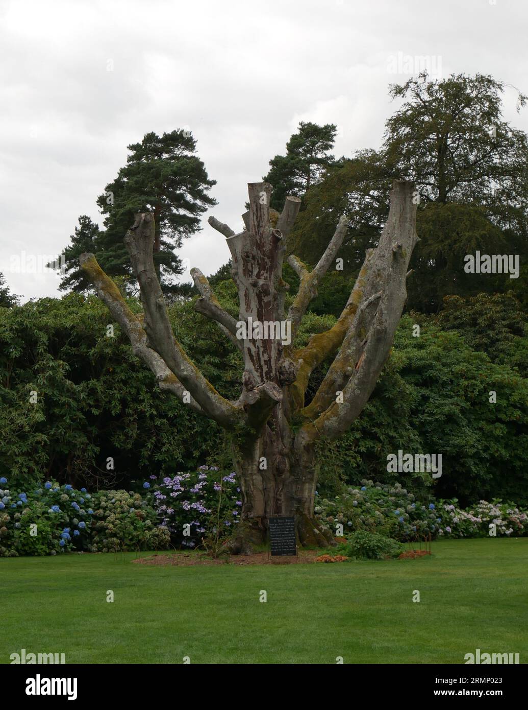 Nymans, Sussex, England Stock Photo - Alamy