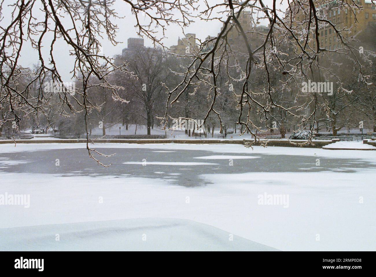 Central Park after a snowstorm, New York City. Conservatory Water ...