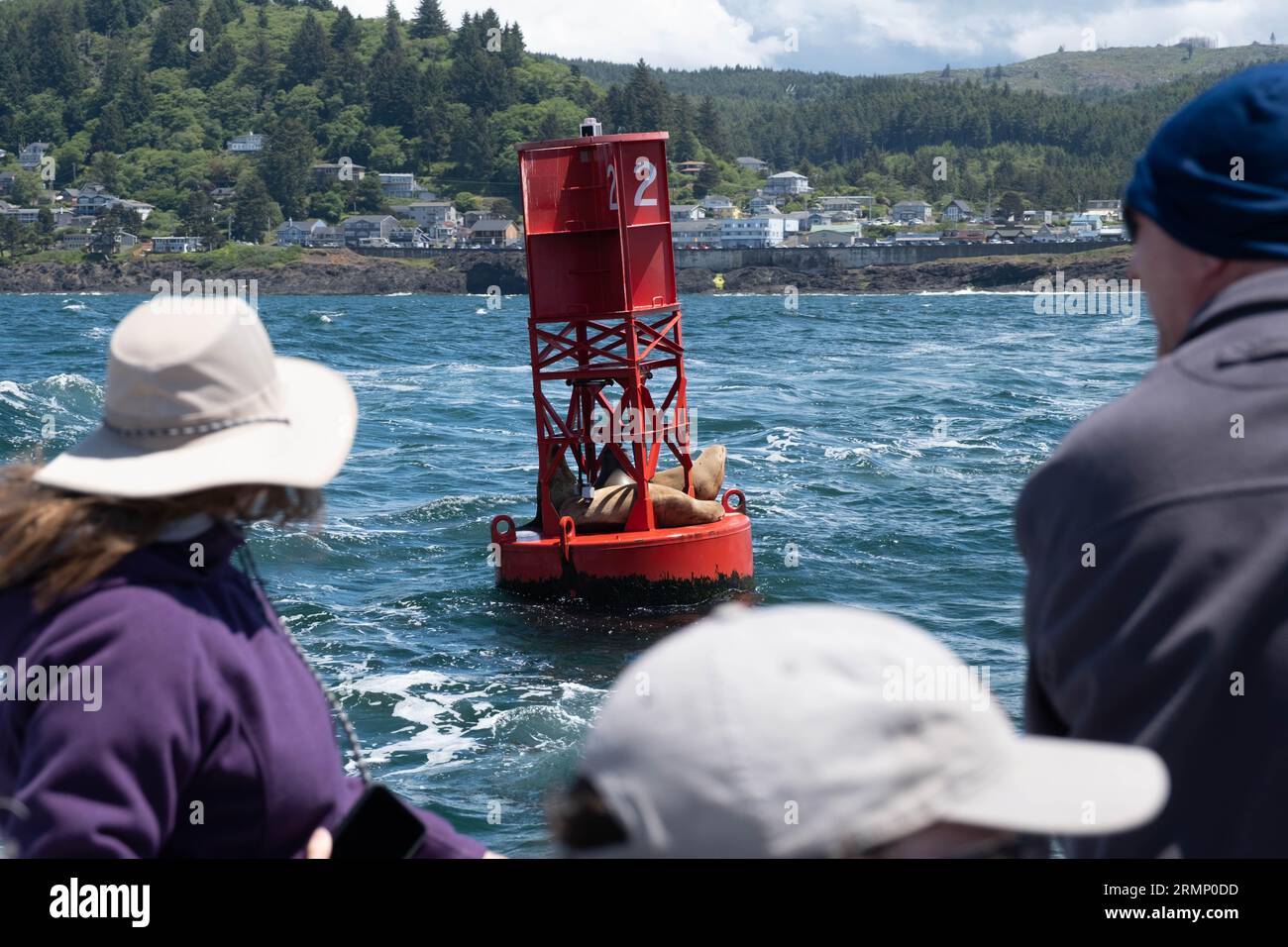 Seal seals sunset sunrise hi-res stock photography and images - Alamy