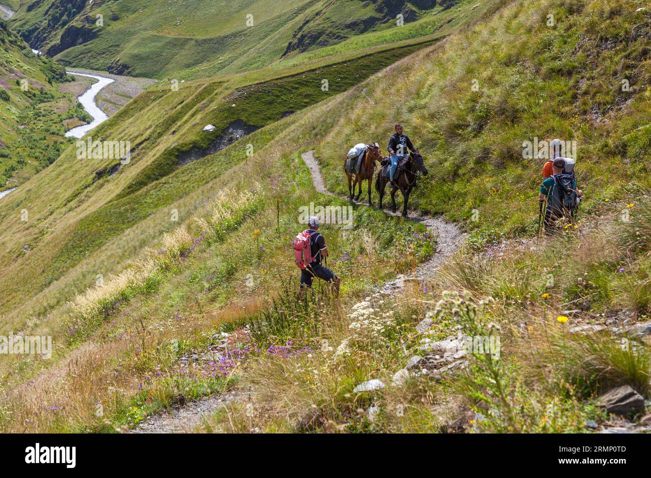 Hiking trail through Tusheti, Georgia. Pack horses transport the ...