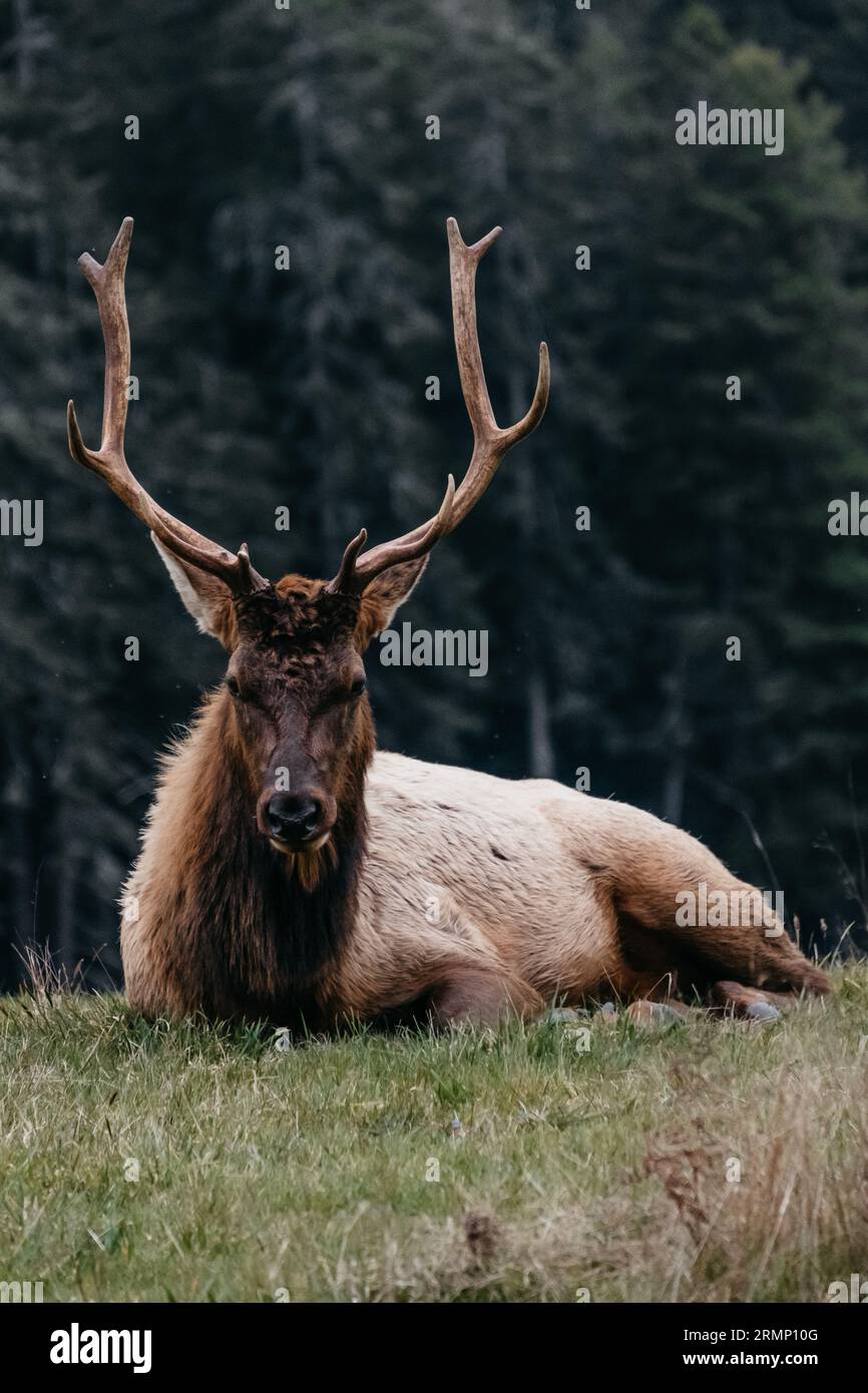 Call state park hi-res stock photography and images - Alamy