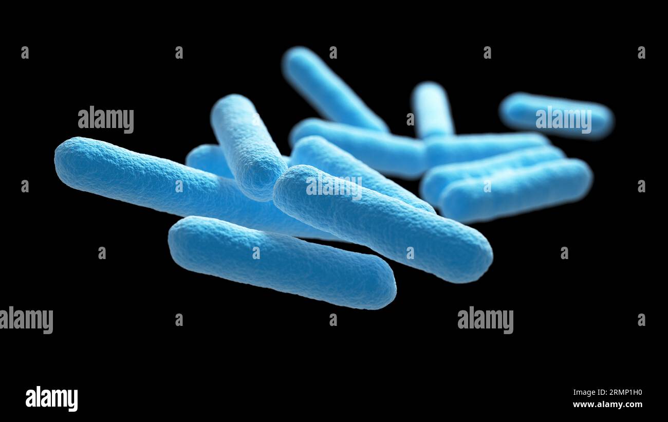 Bacteria. Isolated. Prokaryotic microorganisms. Blue and black color ...