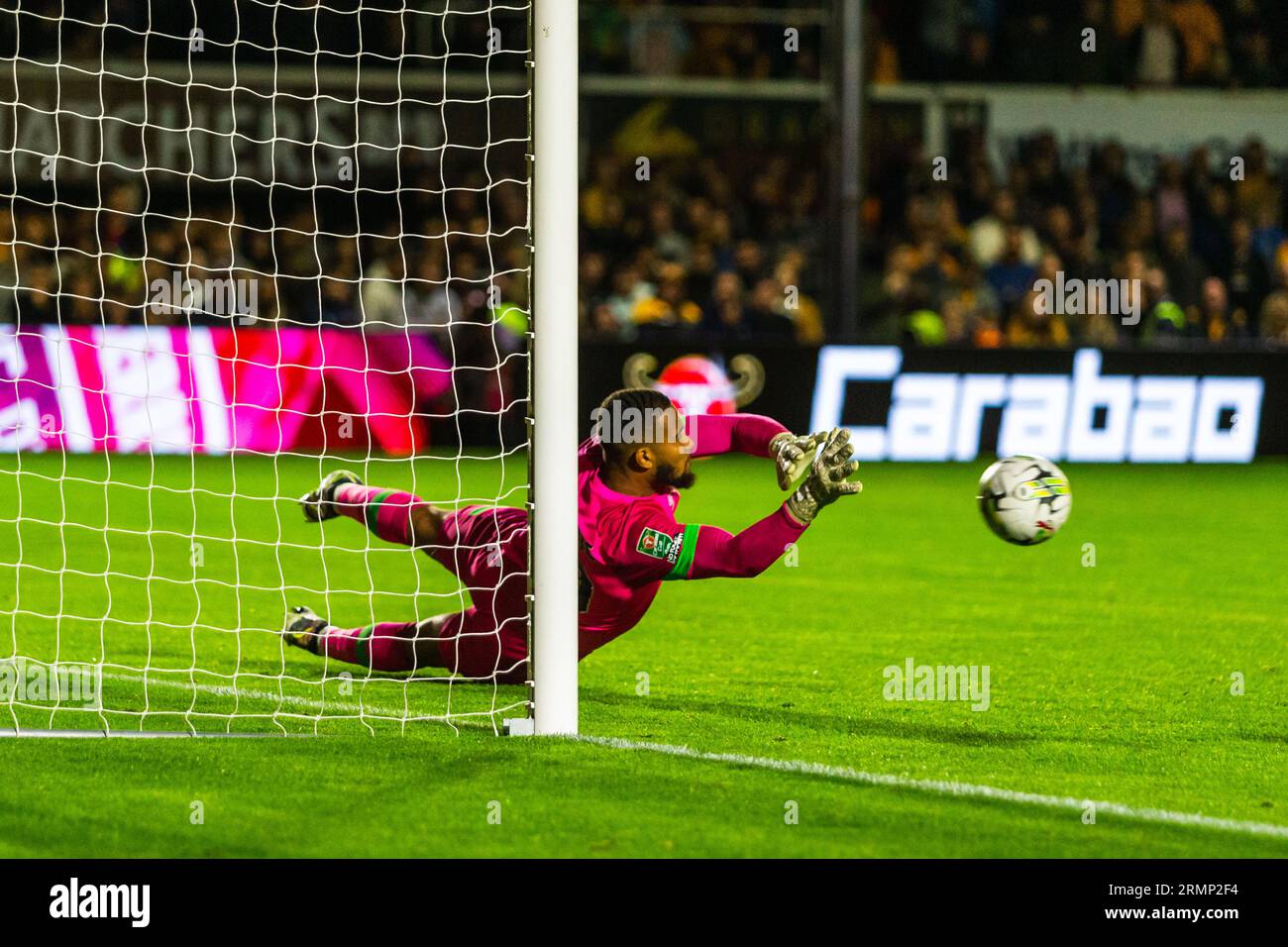 Ellery balcombe hi-res stock photography and images - Alamy