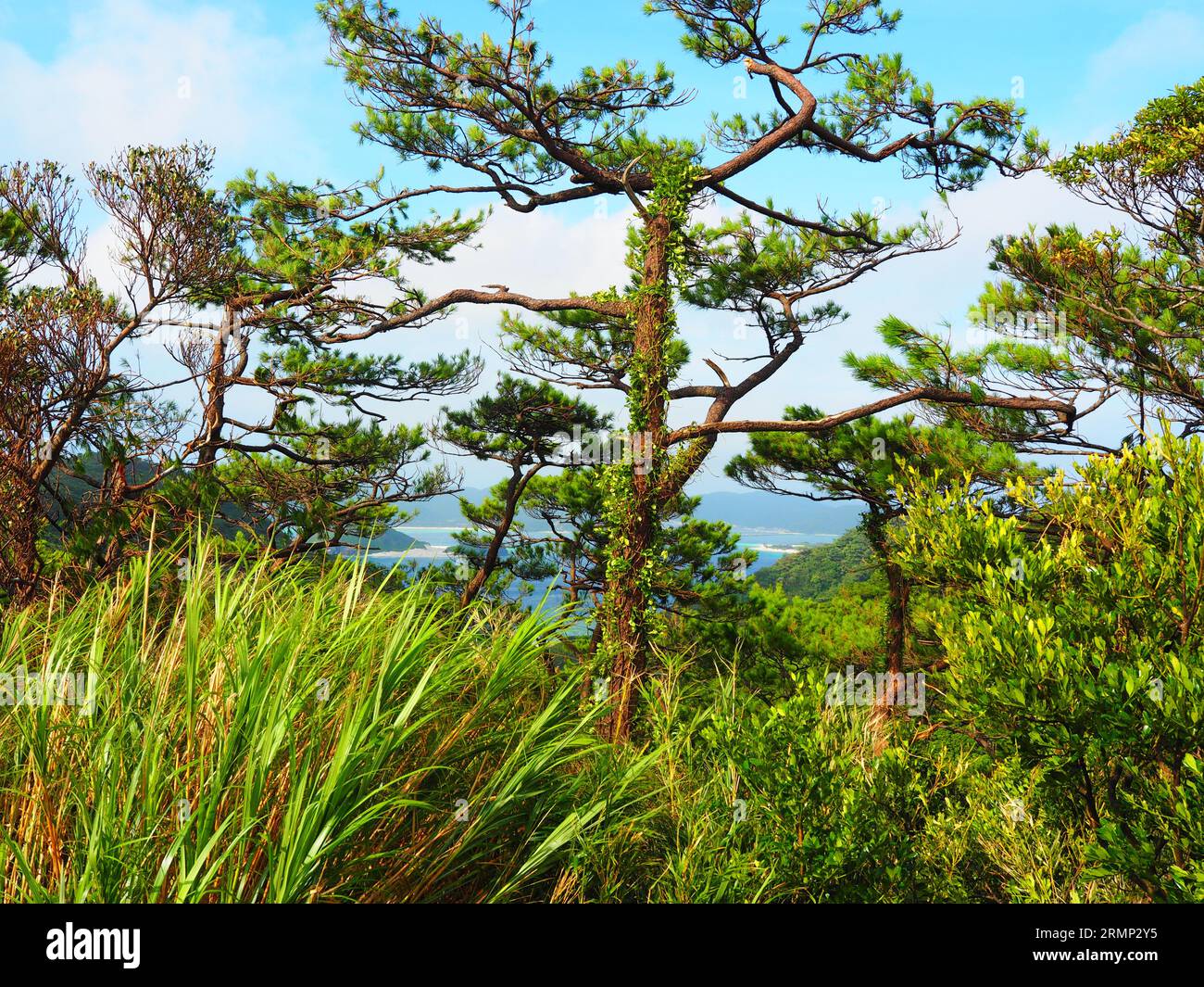 Kerama Islands, National Park, Okinawa, Japan - Blue Zones Stock Photo ...