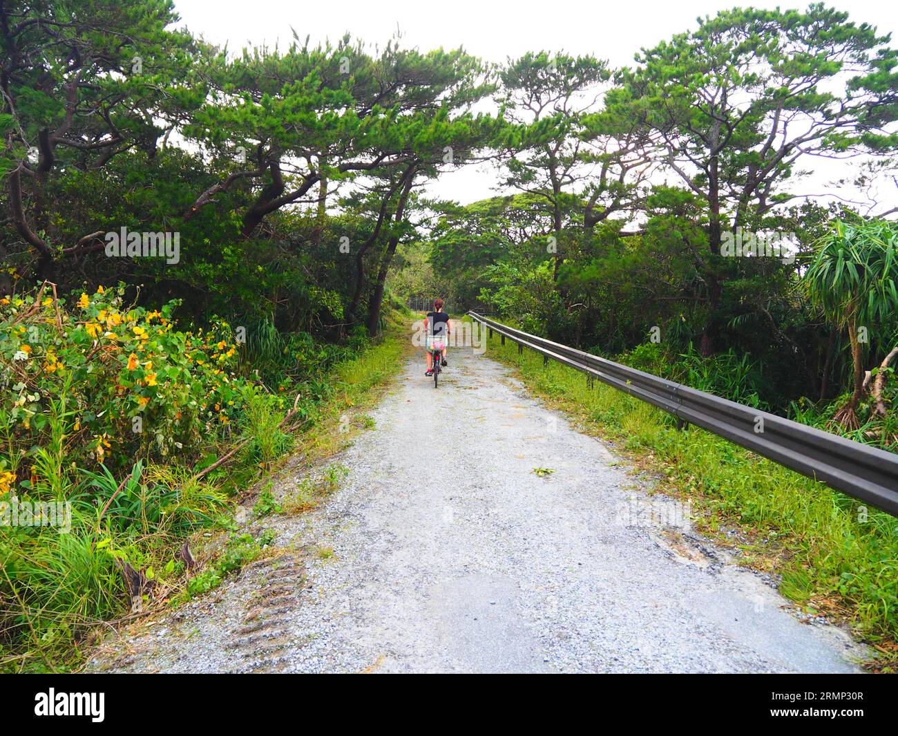 Kerama Islands, National Park, Okinawa, Japan - Blue Zones Stock Photo ...