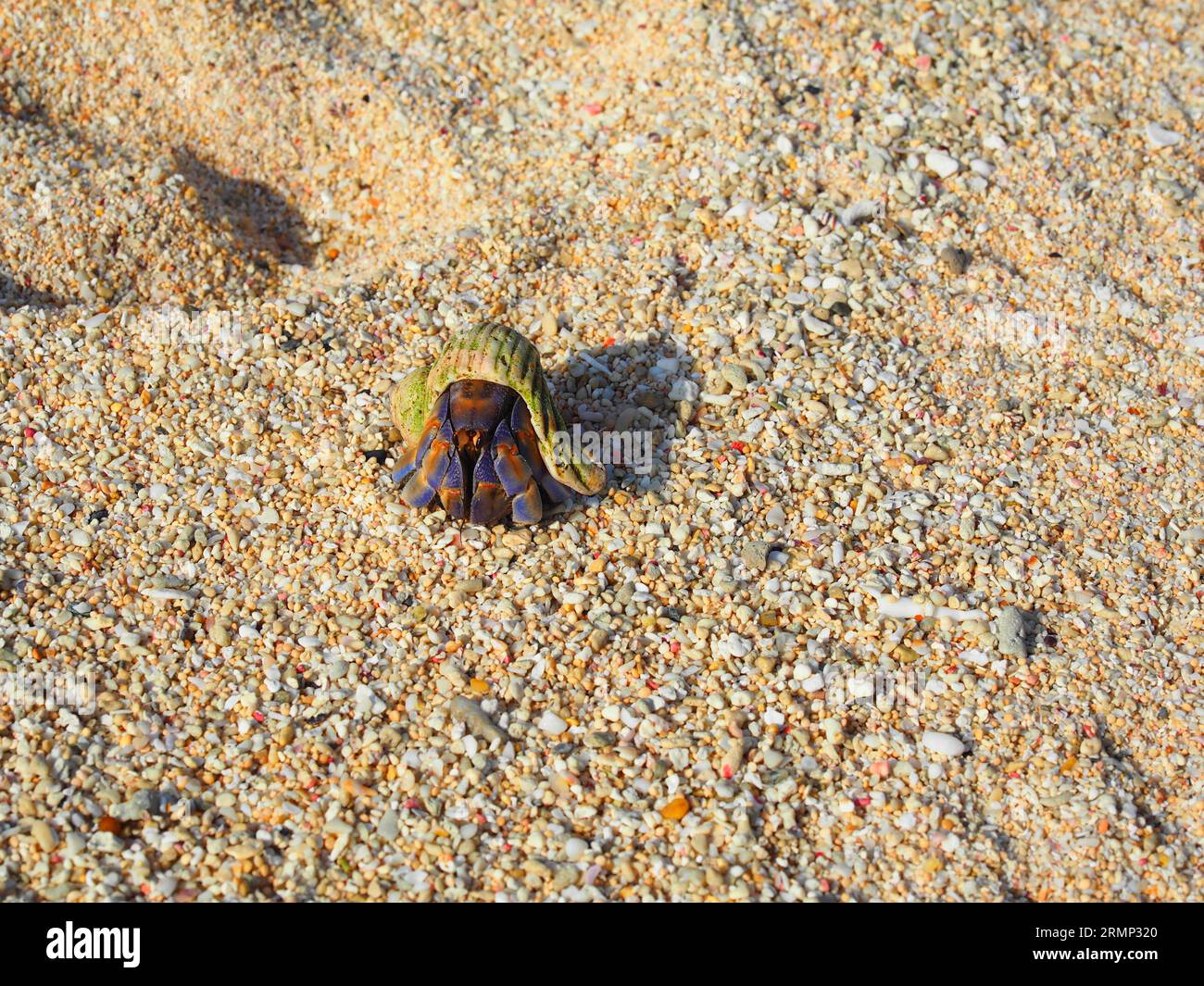 Kerama Islands, National Park, Okinawa, Japan - Blue Zones Stock Photo ...