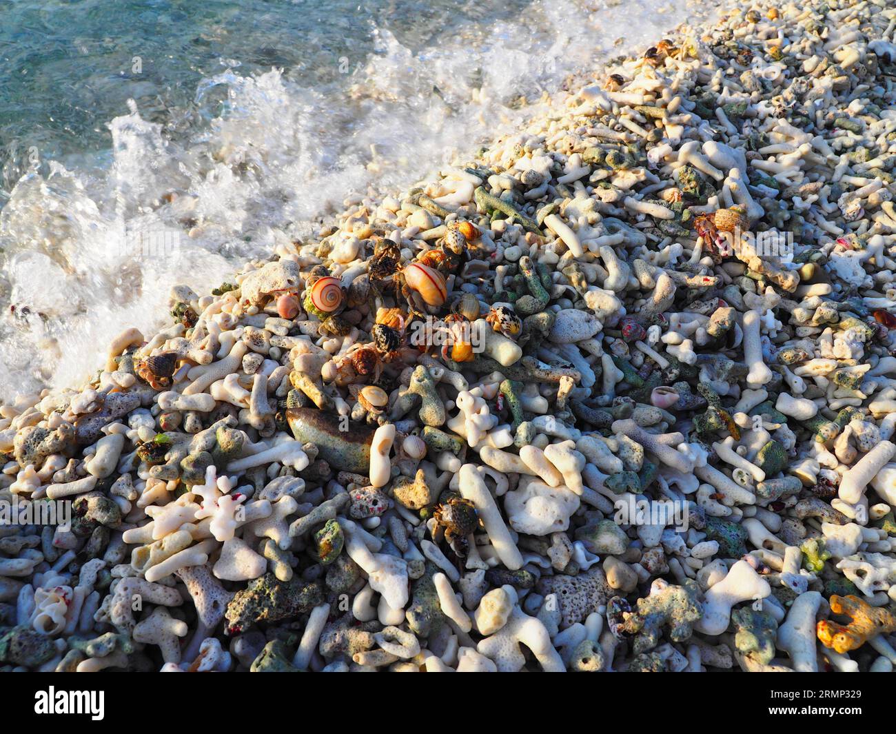 Kerama Islands, National Park, Okinawa, Japan - Blue Zones Stock Photo ...