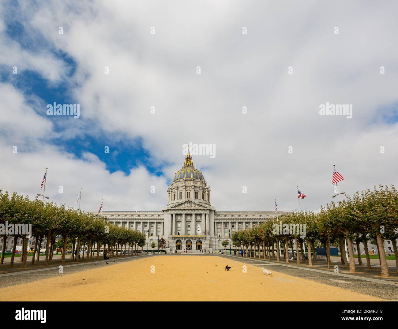 Sunny view of The San Francisco City Hall with cityscape at California ...