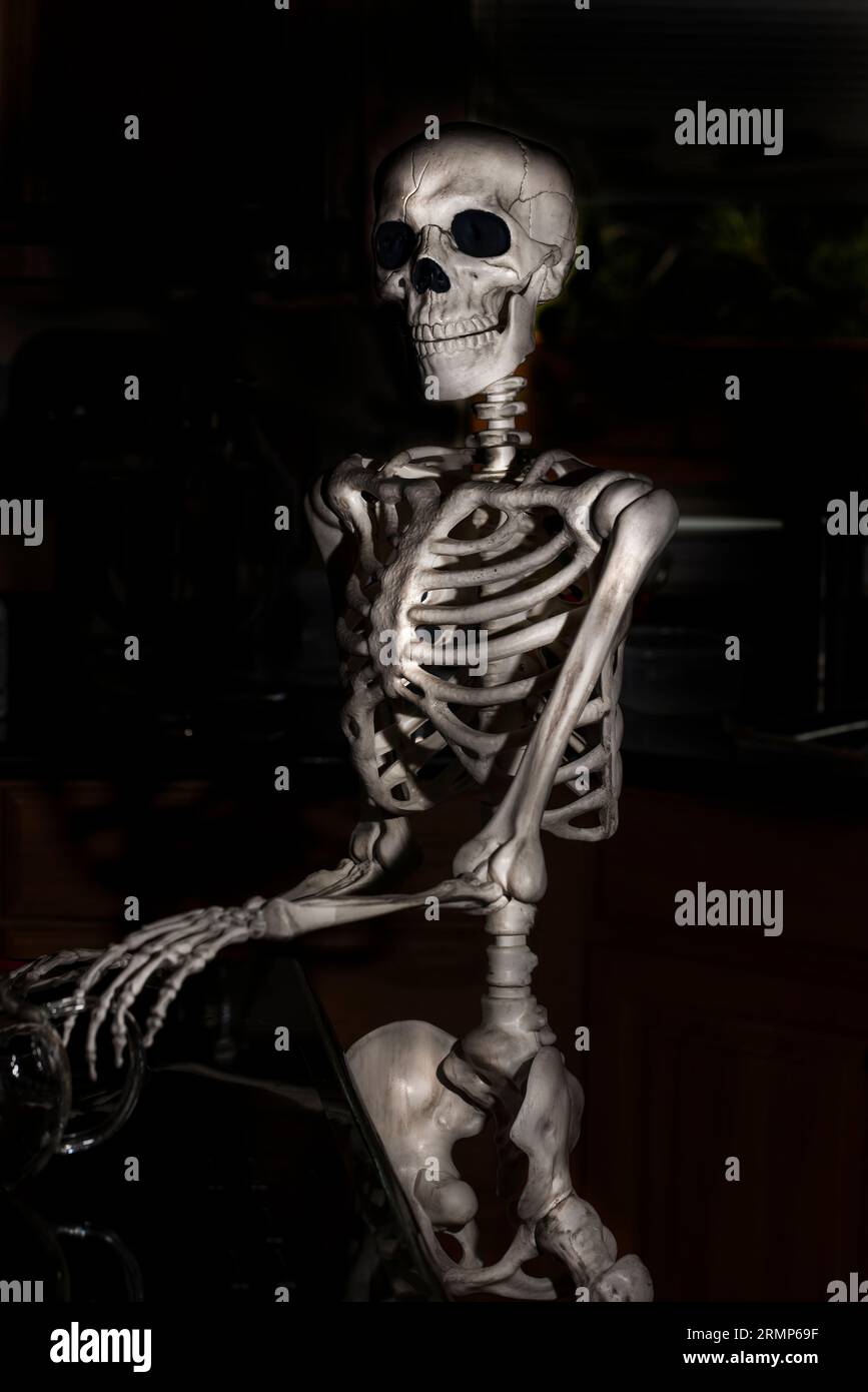 Skeleton in kitchen hi-res stock photography and images - Alamy