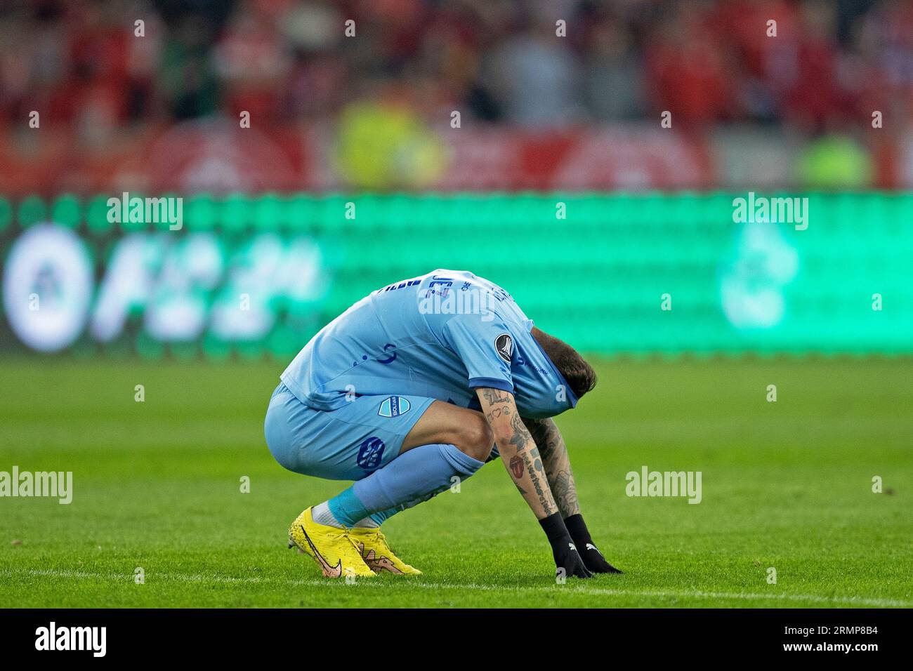 Patito rodriguez hi-res stock photography and images - Alamy