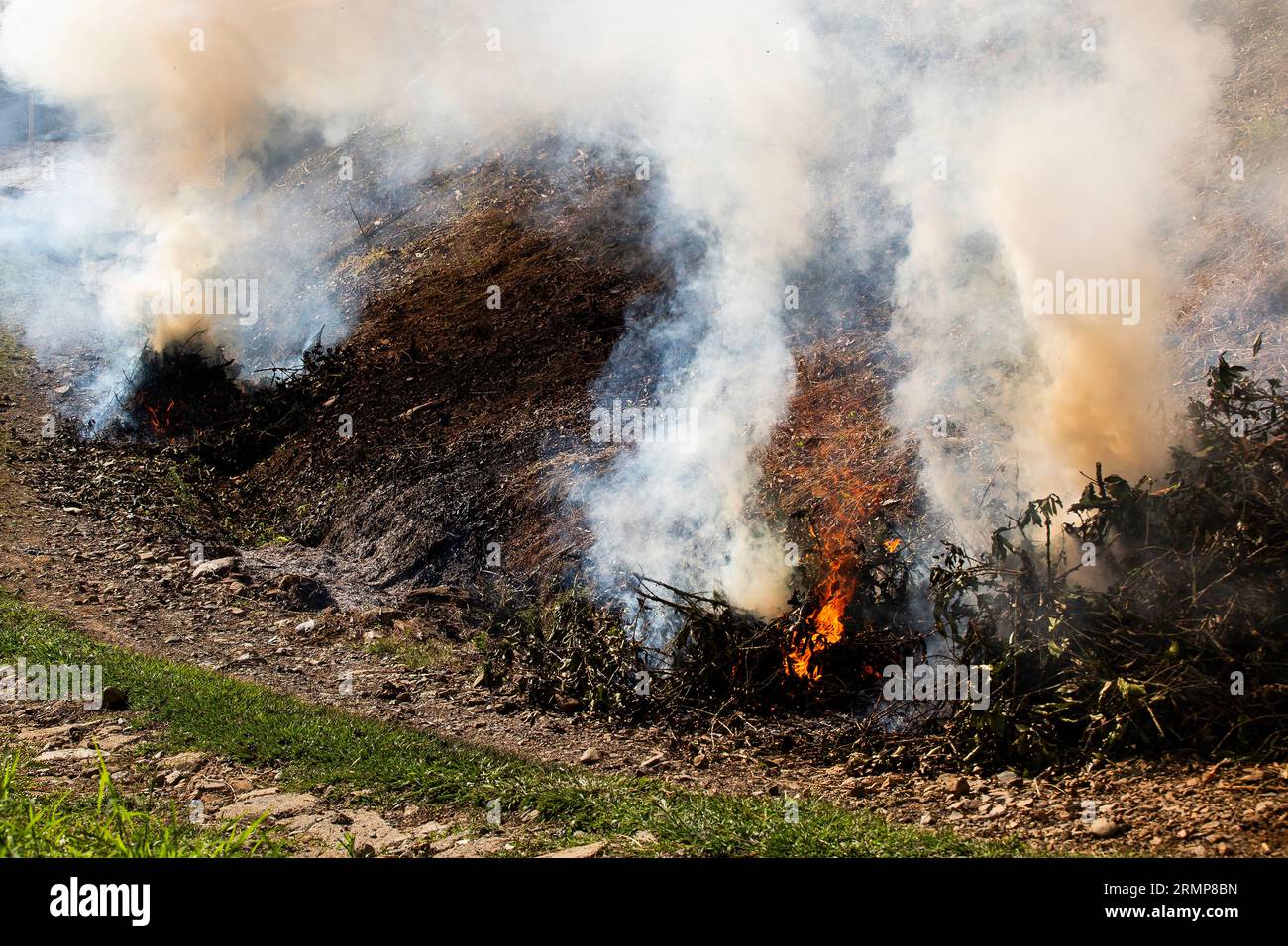 Forest fire in the Colombian mountains - Fire, smoke and contamination ...