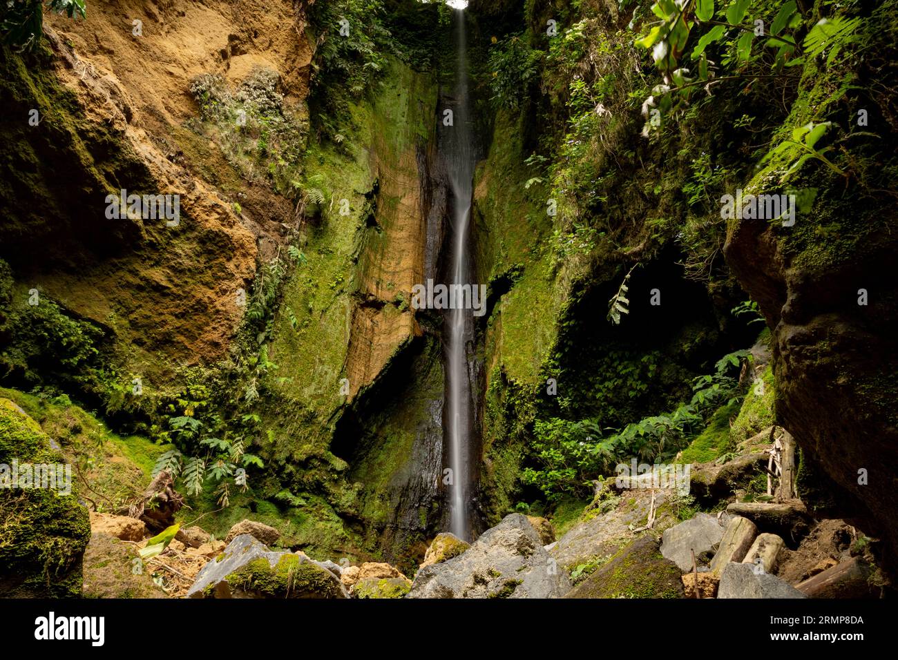 Beautiful waterfall in the rainforest Park of (Mata Jose do Canto) in ...