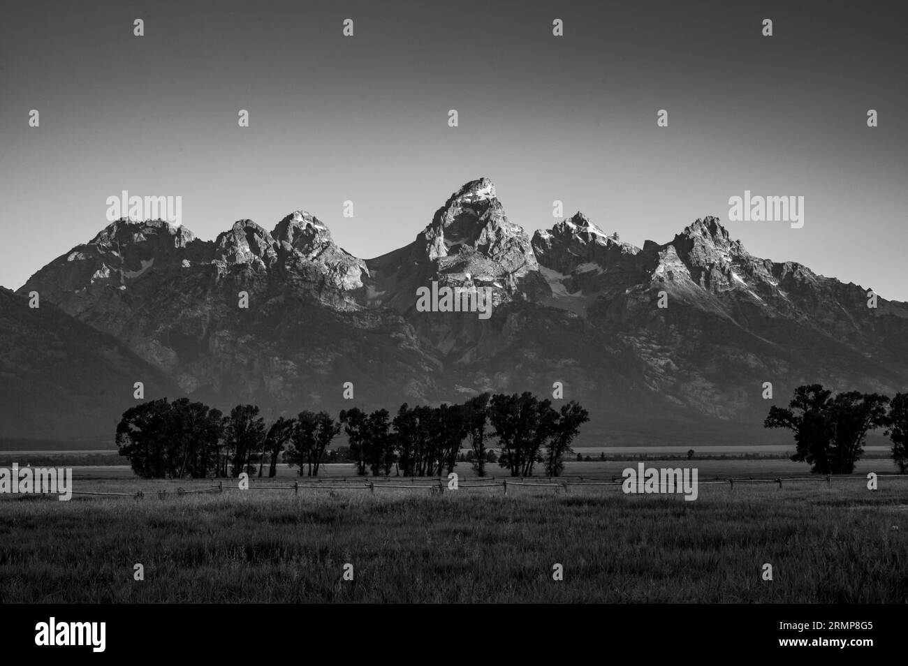 Simple Fences and Sparse Groves Of Trees Stand In High Contrast Below ...