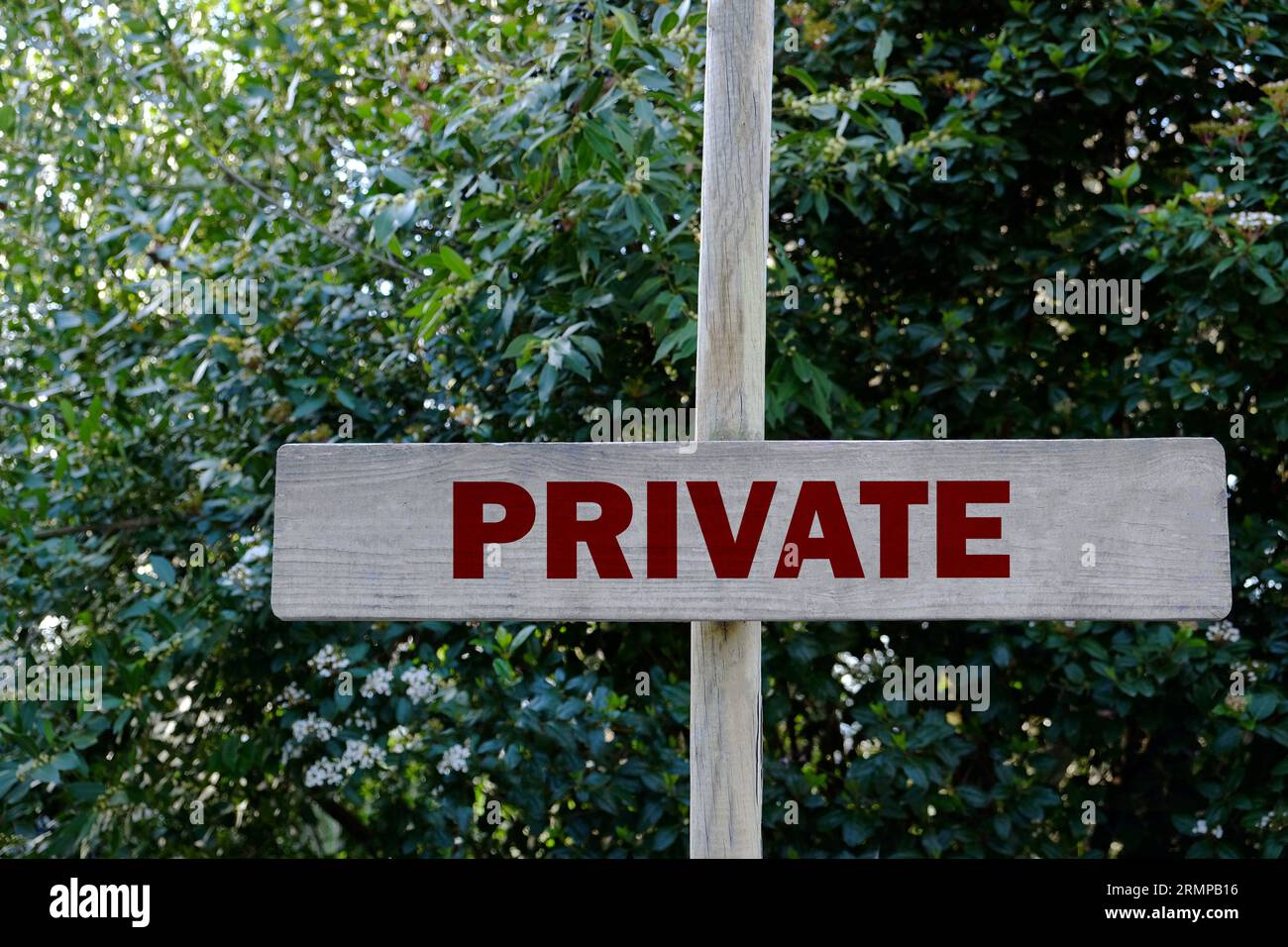 Word private hi-res stock photography and images - Alamy