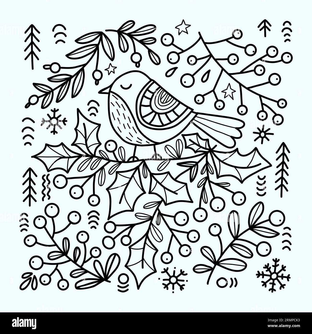 Christmas Bird with berries, holly. Vector illustration. outline hand ...