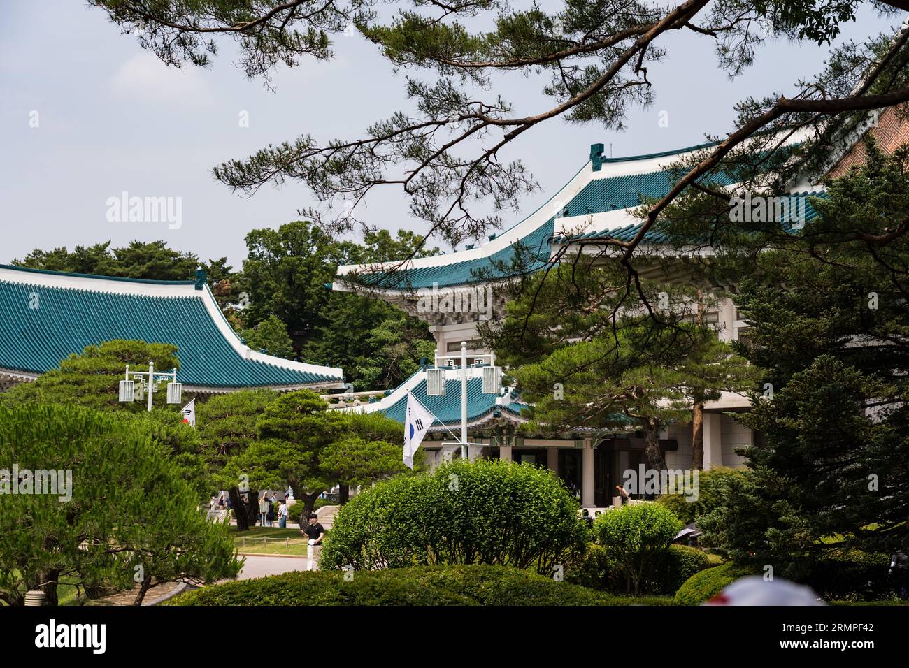 The blue house of Korea after public opening, Cheongwadae in Summer ...