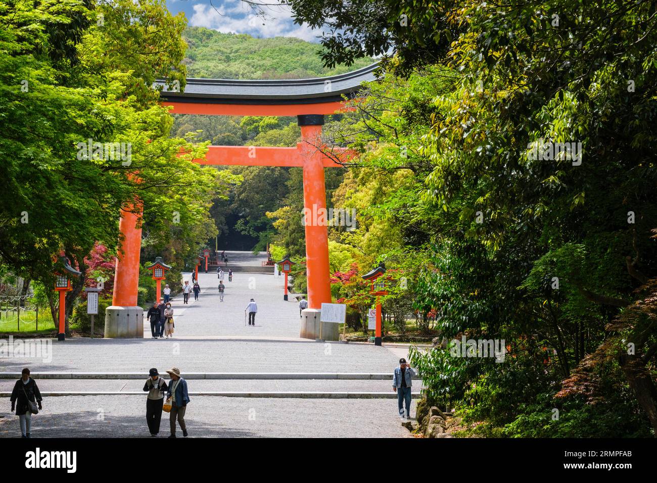 Japan, Kyushu. Torii Gate at Entrance to Usa Jingu Shinto Shrine Stock ...