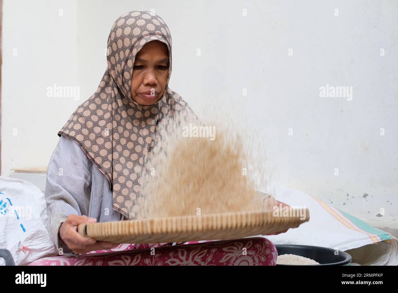 Asian old woman winnowing rice using a traditional basket to clean the ...