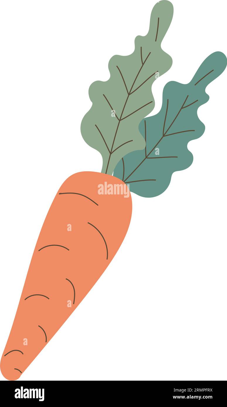 fresh carrot design Stock Vector Image & Art - Alamy
