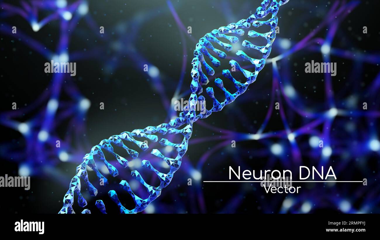 Abstract 3D polygonal wireframe DNA molecule on the background of brain ...