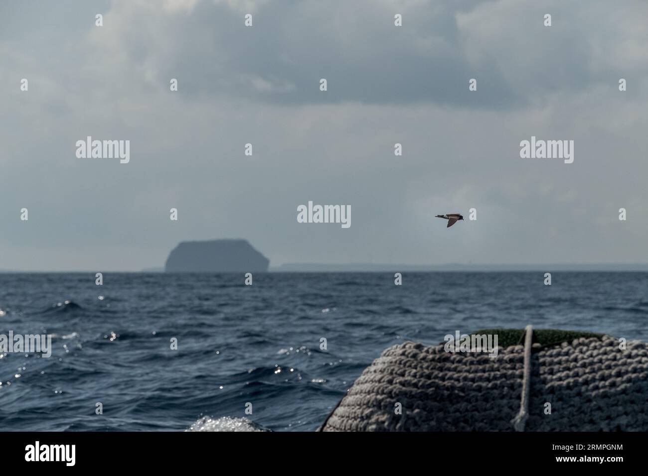 Isla daphne menor hi-res stock photography and images - Alamy