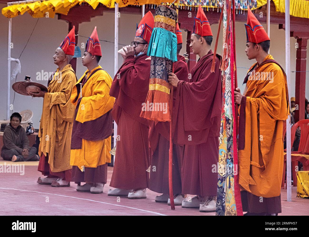 Conch shell india hi-res stock photography and images - Alamy