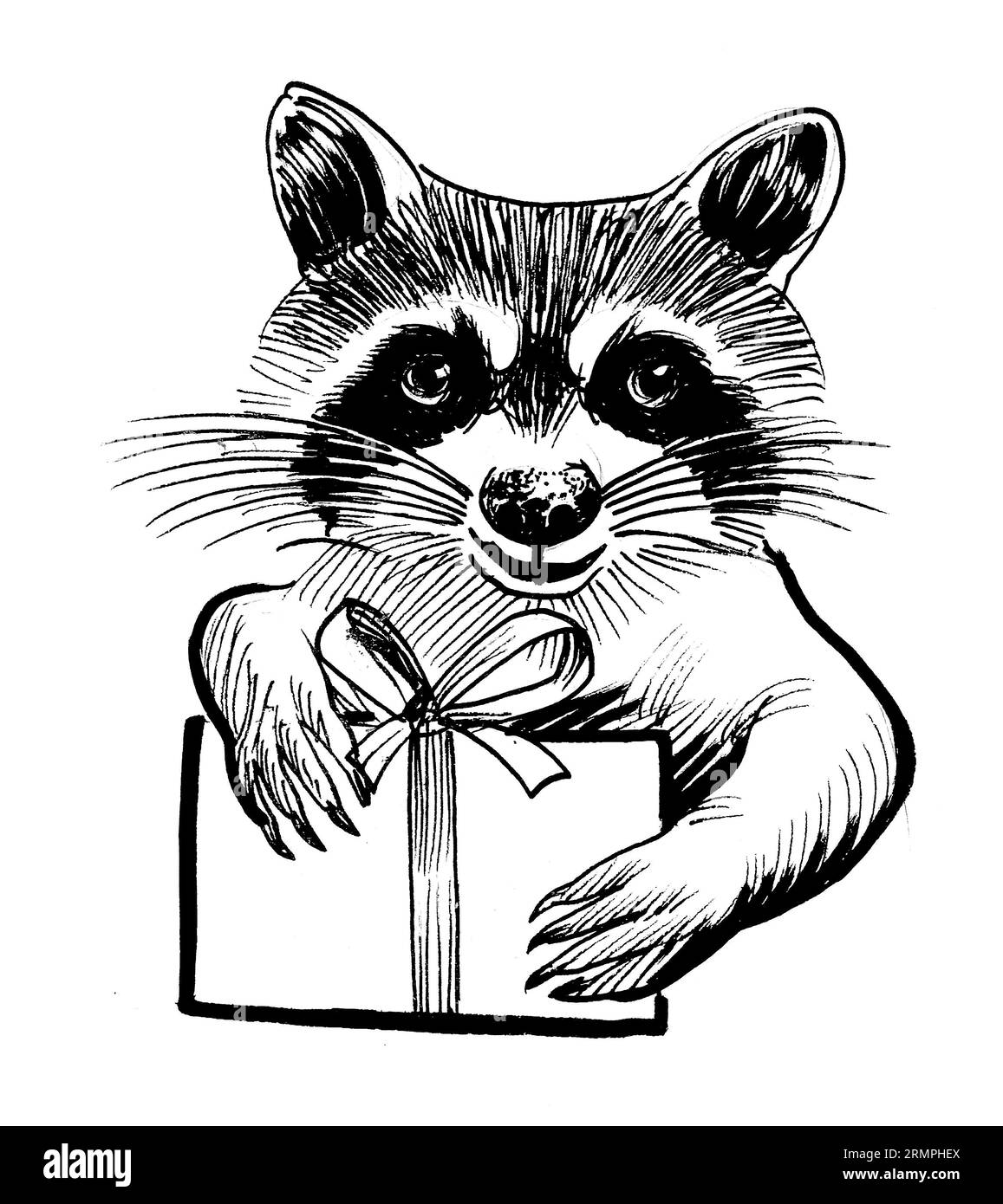 Raccoon Clip Art Black And White Racoon Black And White Images