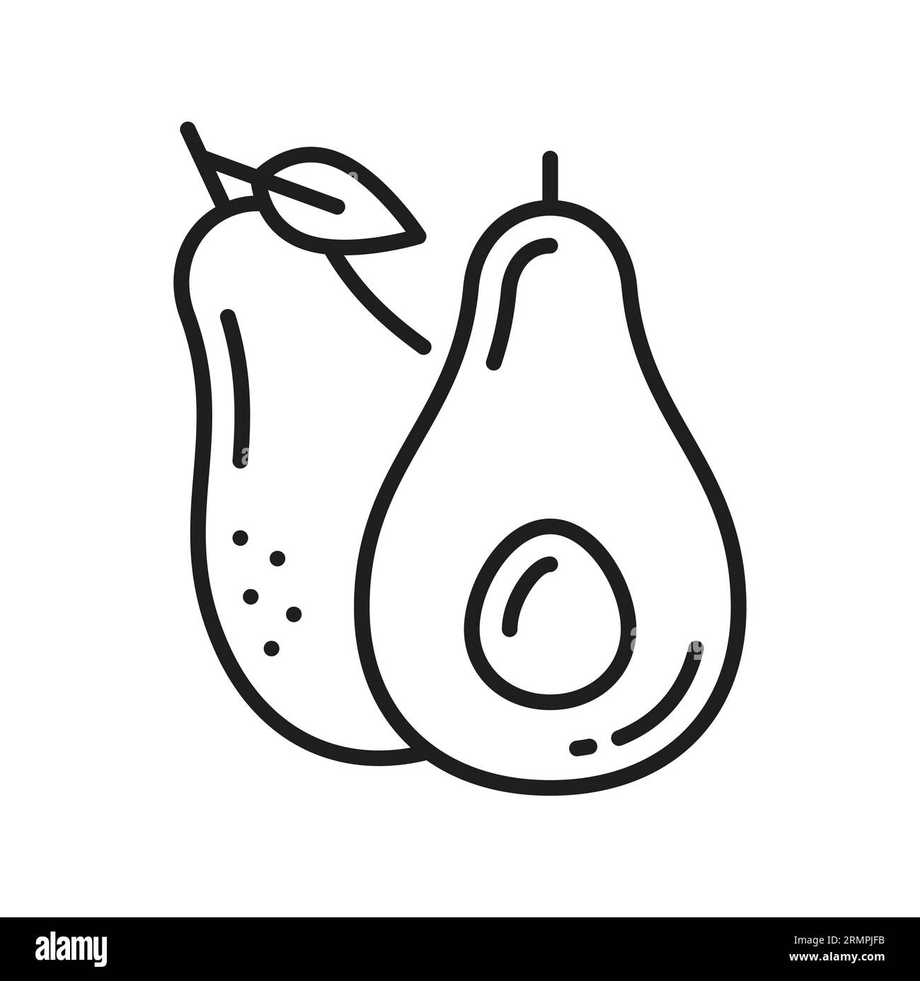 Avocado berry whole fruit, raw alligator pear line icon. Vector ...