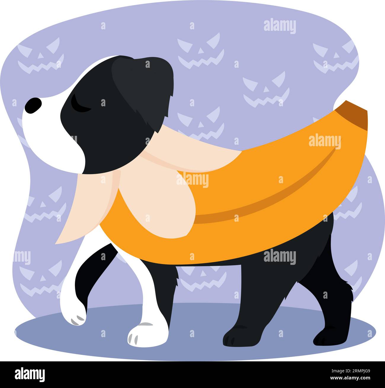 Dog fruit costume hi-res stock photography and images - Alamy